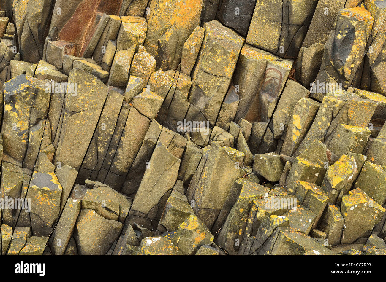 Lichen On Rock Rocks High Resolution Stock Photography and Images - Alamy
