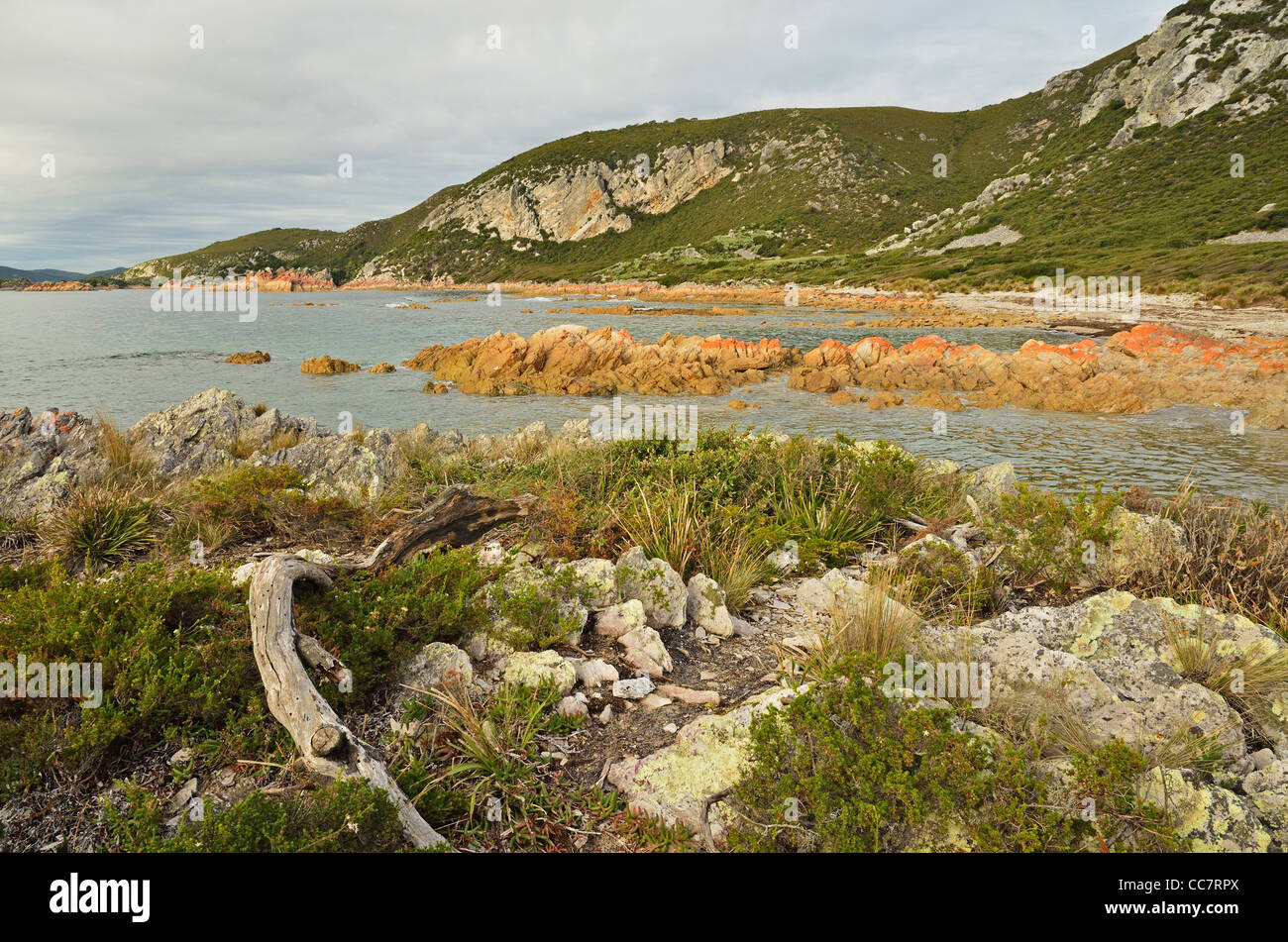 Rocky Cape, Rocky Cape National Park, Tasmania, Australia Stock Photo ...