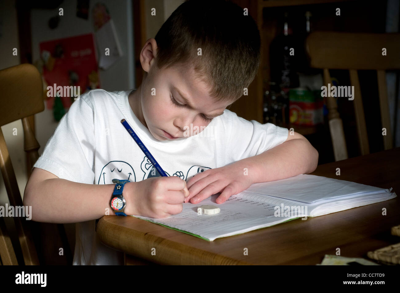Boy working on his homework,activity, attention, background, boy, busy ...