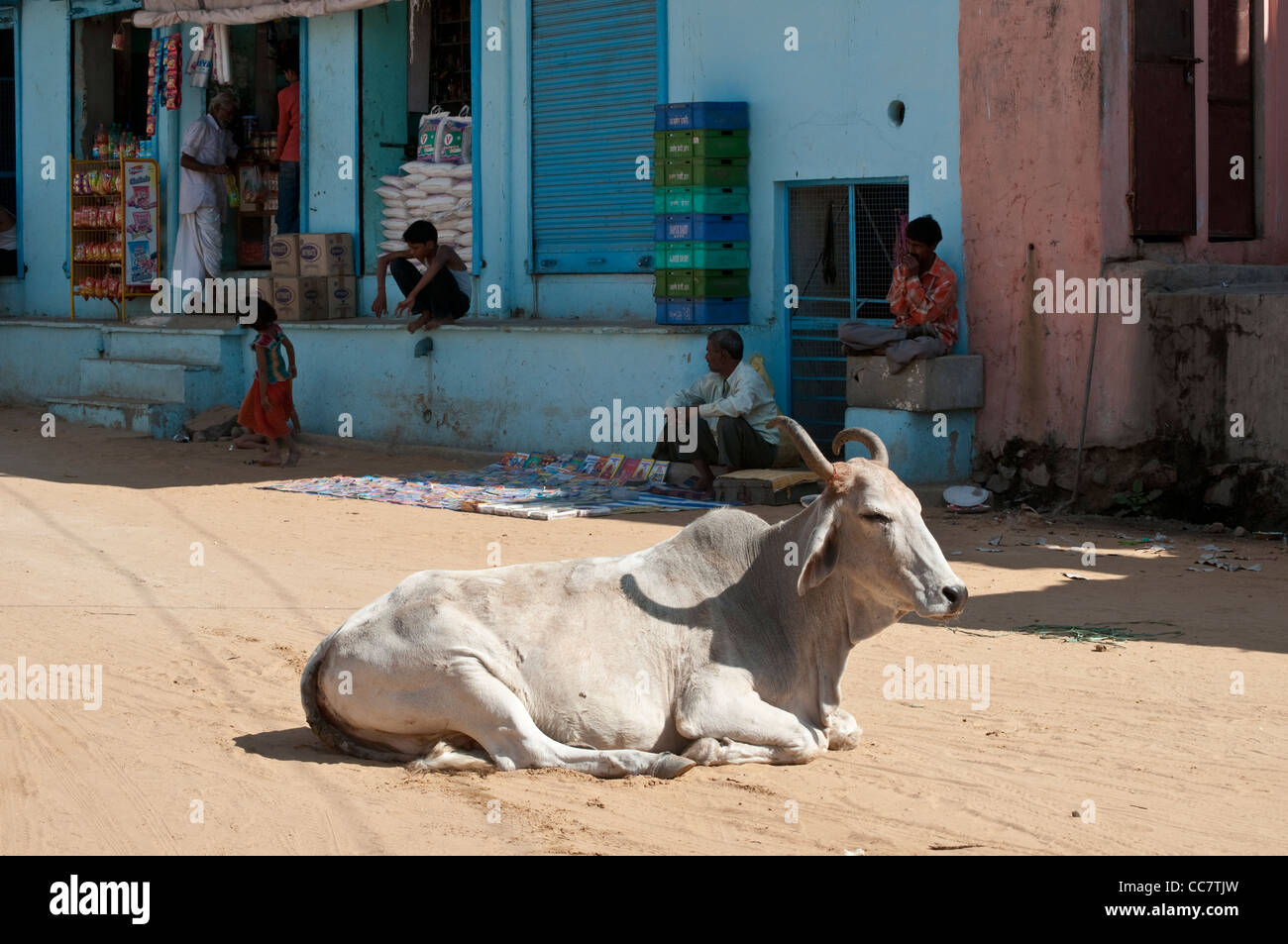 Cow on indian road hi-res stock photography and images - Alamy