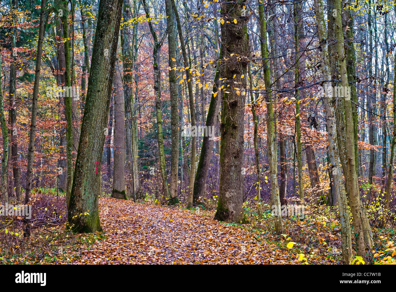 Day trail hi-res stock photography and images - Alamy