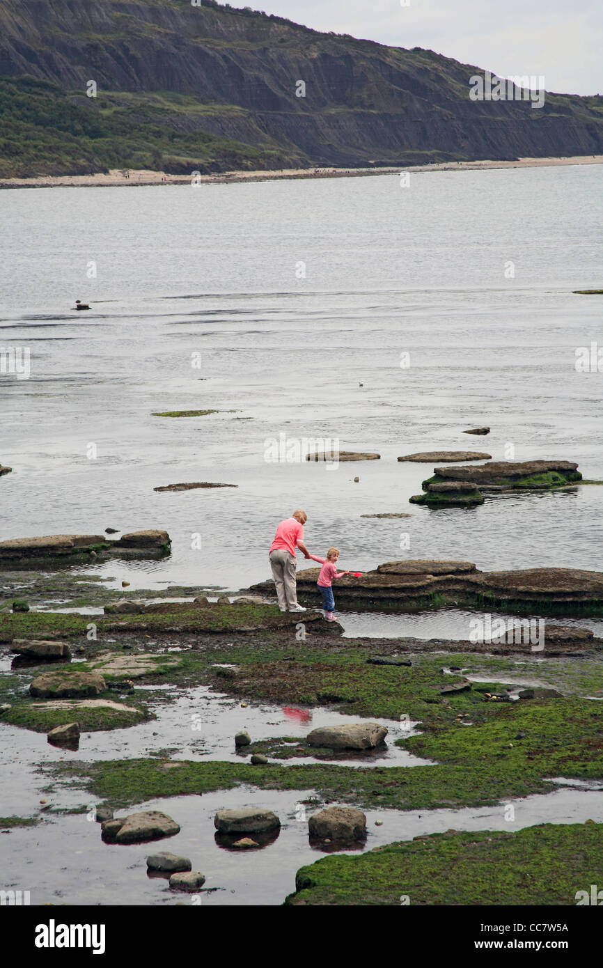 Exploring the rock pools at Lyme Regis, Dorset, England, UK Stock Photo ...