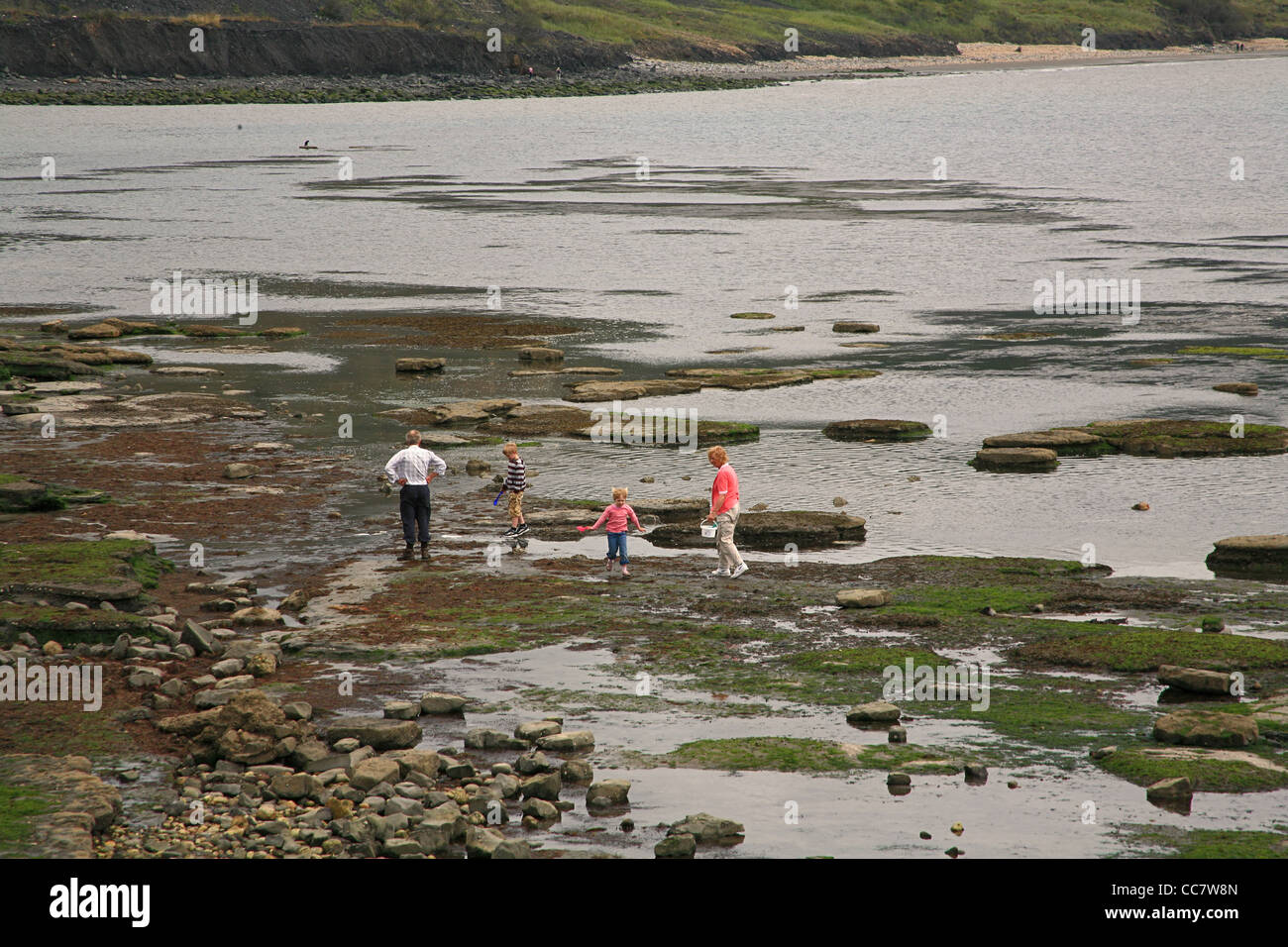 Rocky rock pools hi-res stock photography and images - Alamy