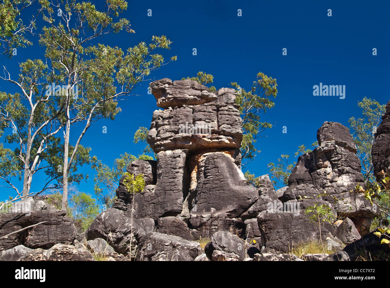 THE LOST CITY, ROCK FORMATIONS, LITCHFIELD NATIONAL PARK, NT, AUSTRALIA ...