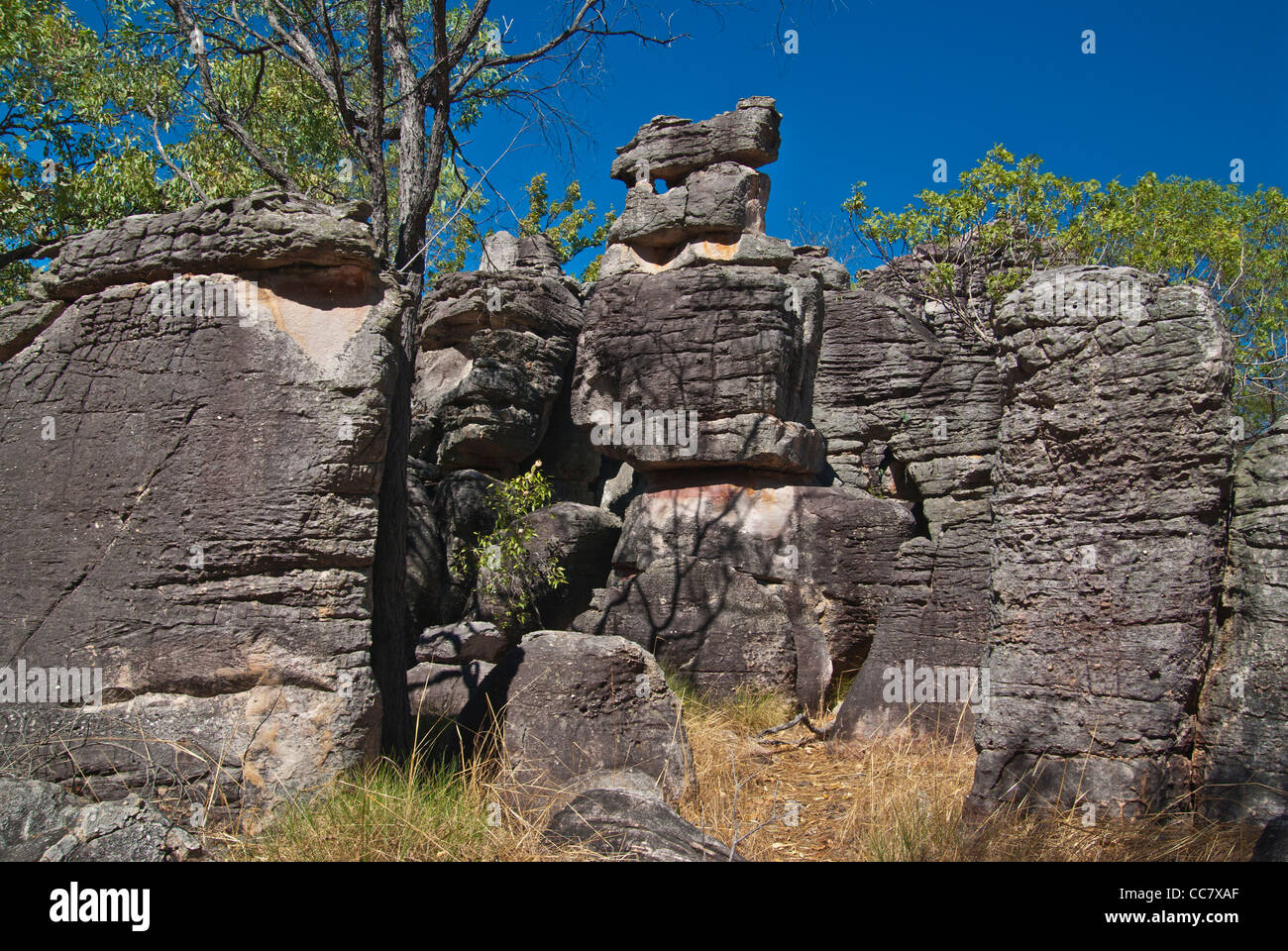 THE LOST CITY, ROCK FORMATIONS, LITCHFIELD NATIONAL PARK, NT, AUSTRALIA ...
