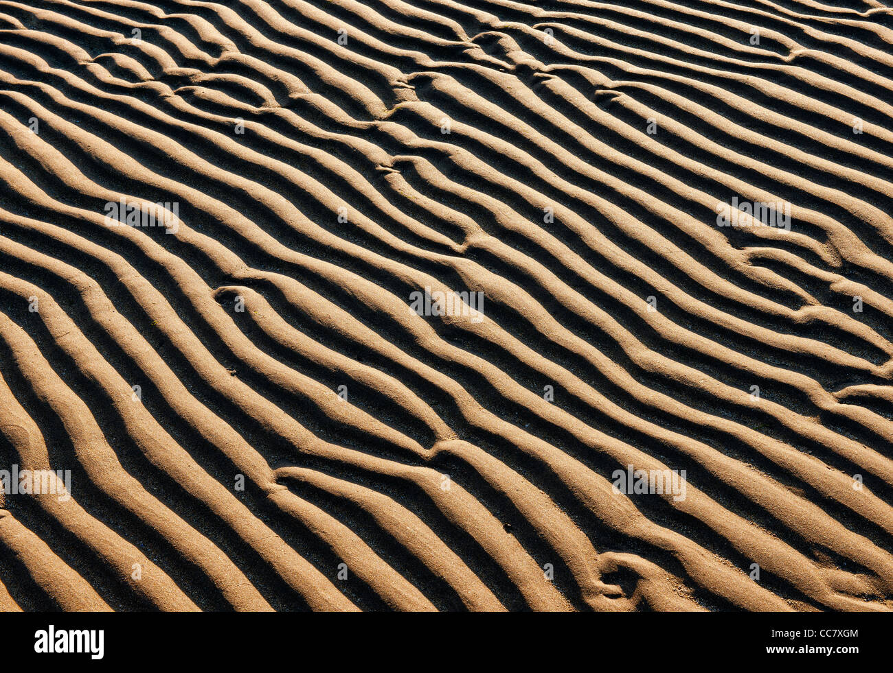 Abstract Patterns on Sand Stock Photo - Alamy