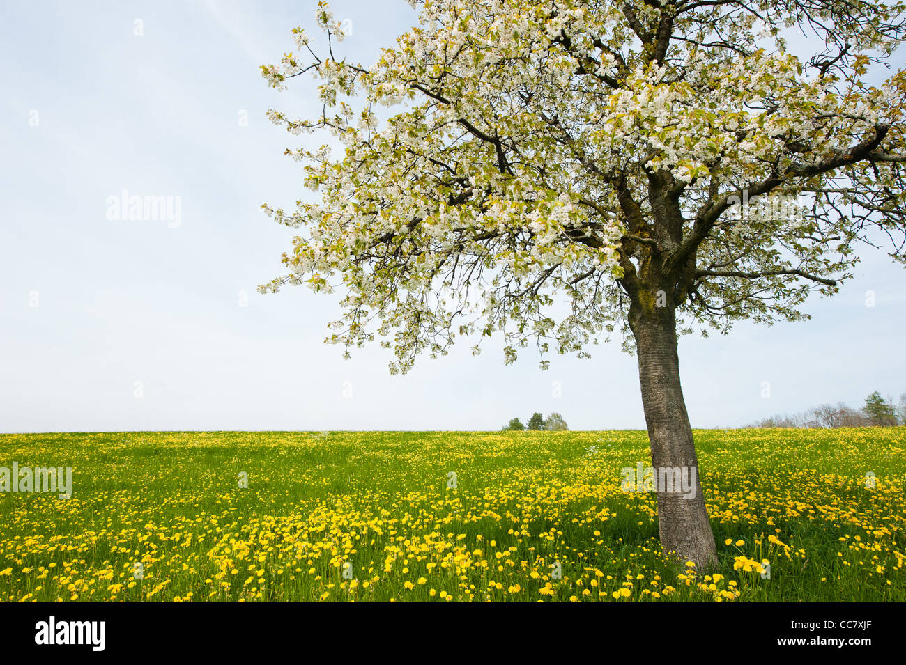 Overcast sky hi-res stock photography and images - Alamy