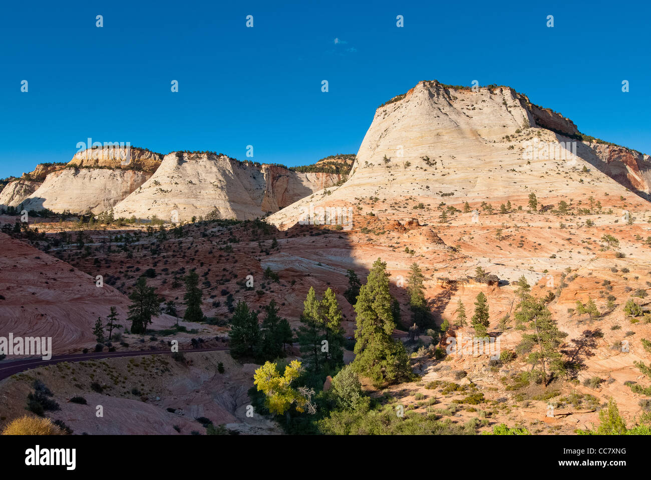 Yellow sandstone cliffs hi-res stock photography and images - Alamy