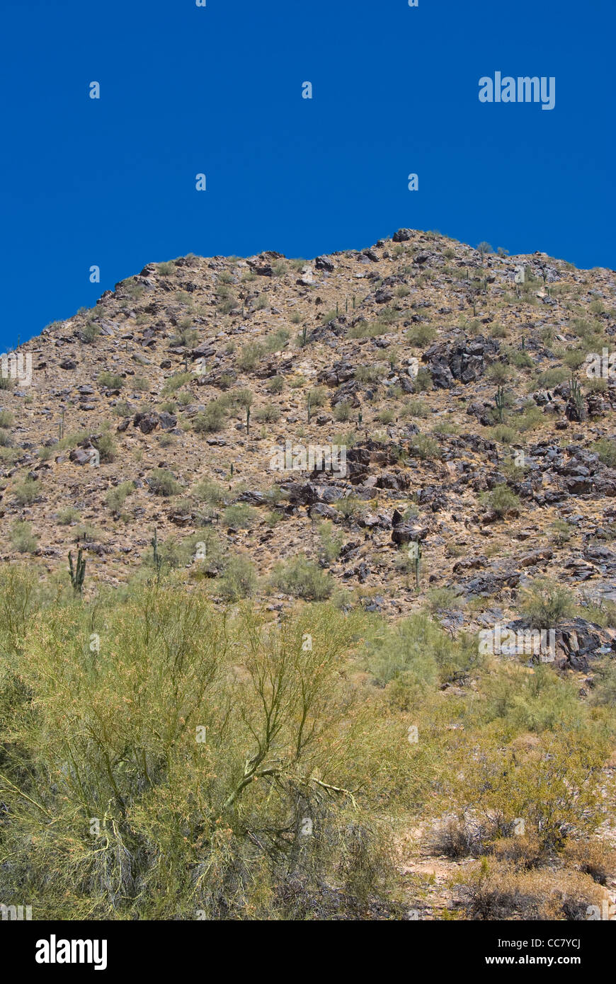 Mummy mountain arizona hi-res stock photography and images - Alamy