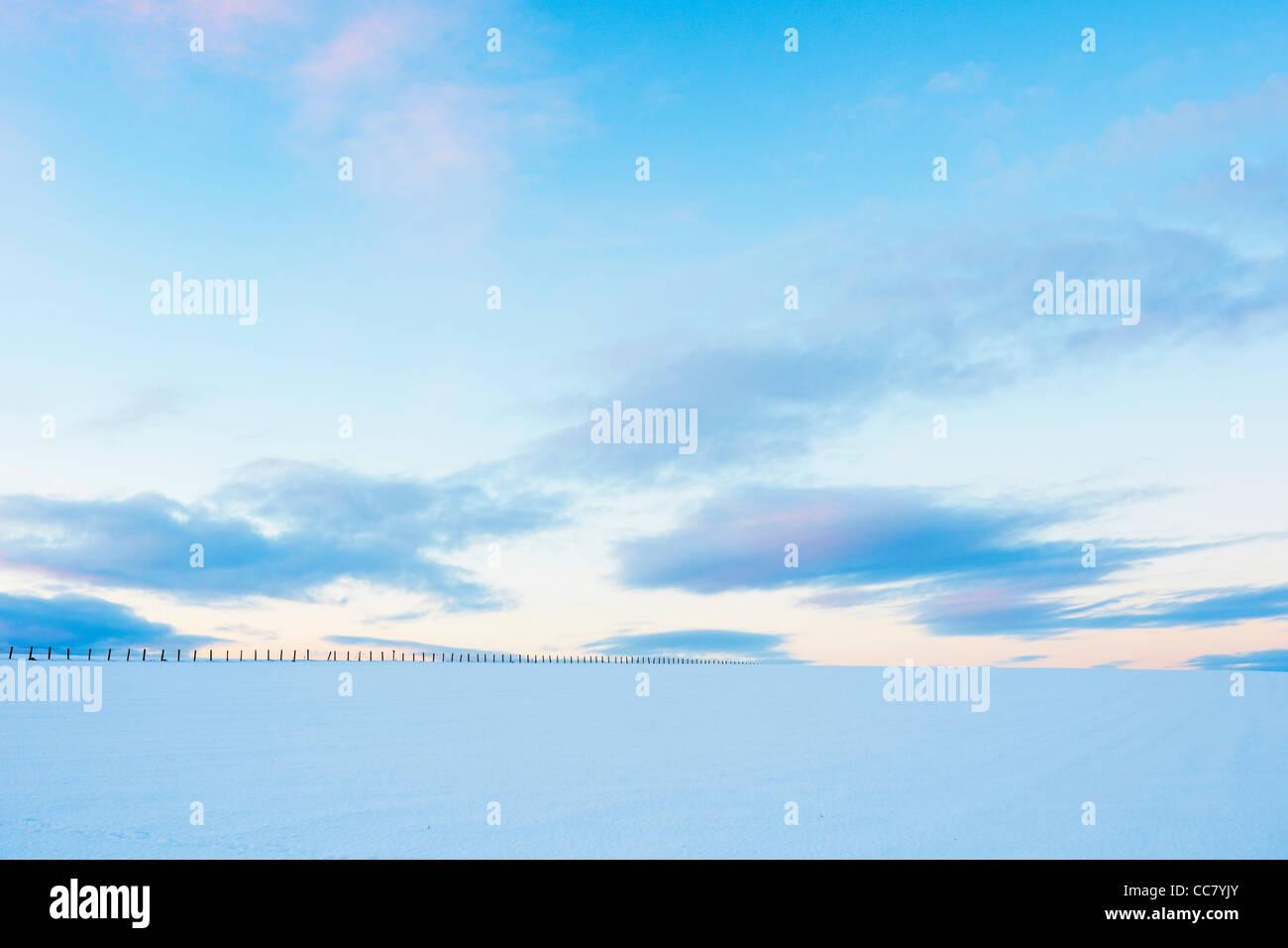 Fence through Snow Covered Fields, Pentland Hills, Scotland Stock Photo ...