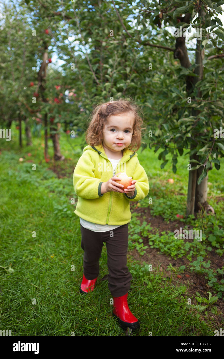 Girl at Apple Farm, Hood River County, Oregon, USA Stock Photo - Alamy