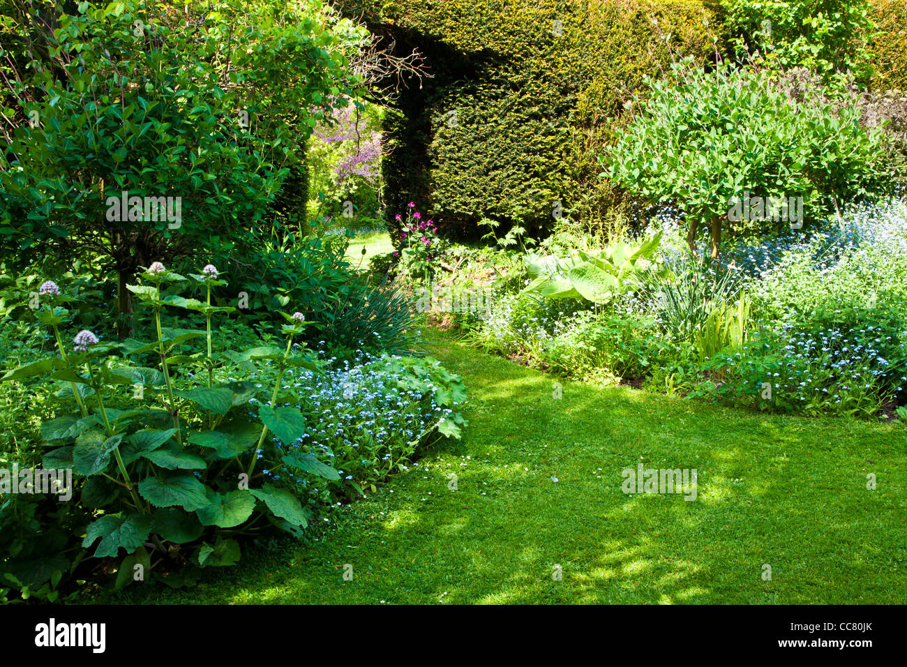 Perennial borders hi-res stock photography and images - Alamy