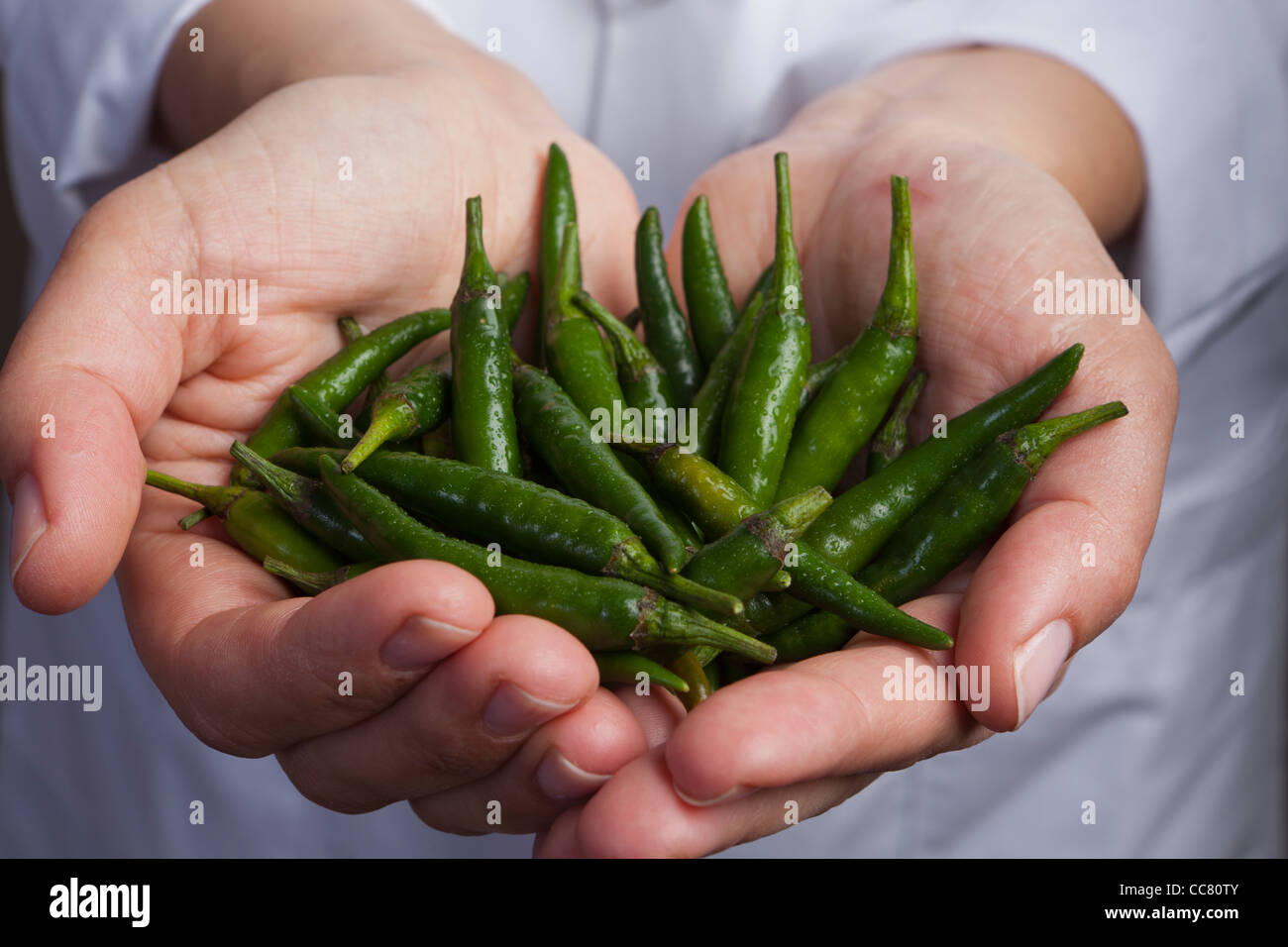 Chef holding green chillies Stock Photo - Alamy