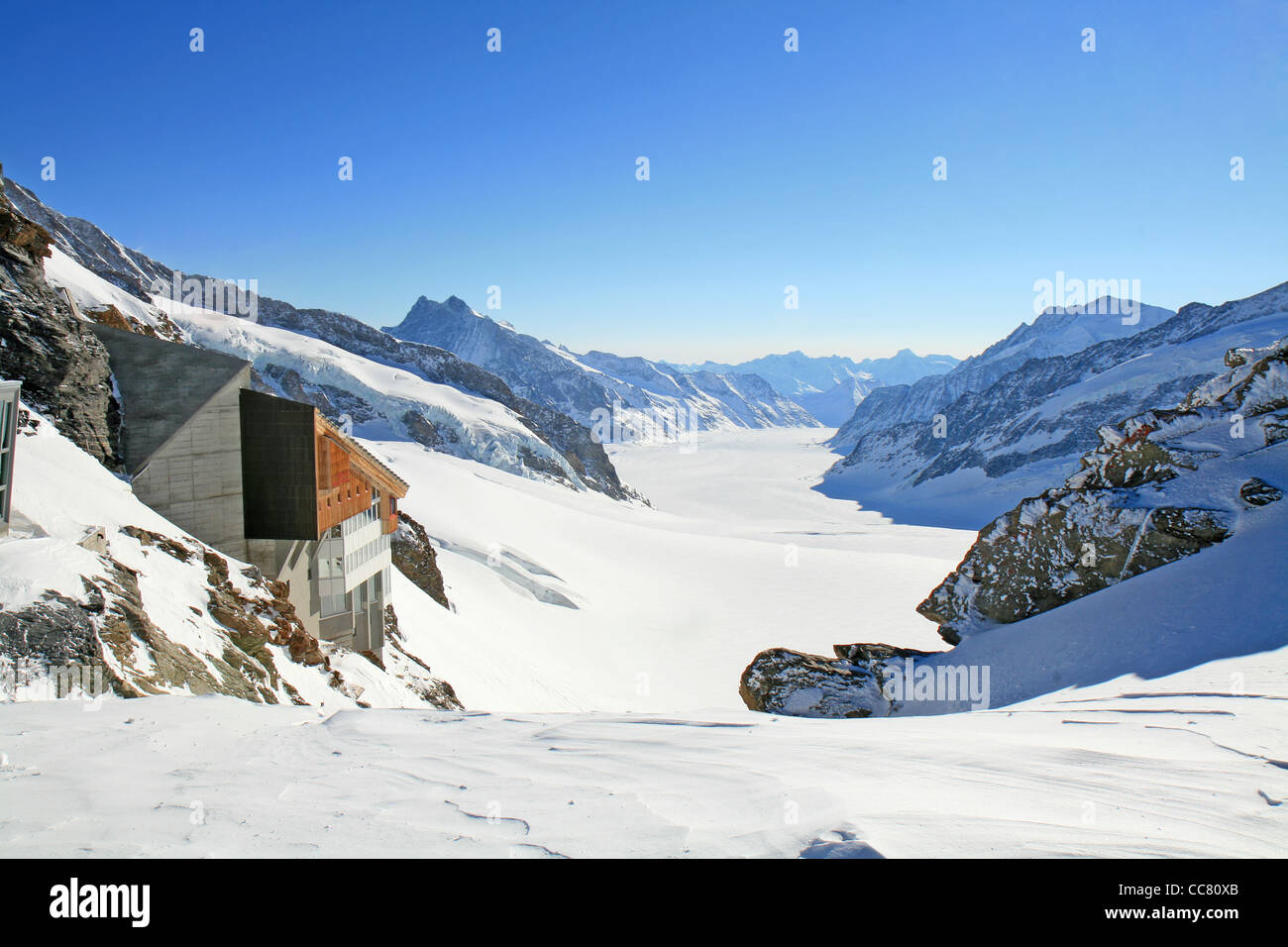 The Great Aletsch Glacier as viewed from Jungfraujoch, Switzerland ...