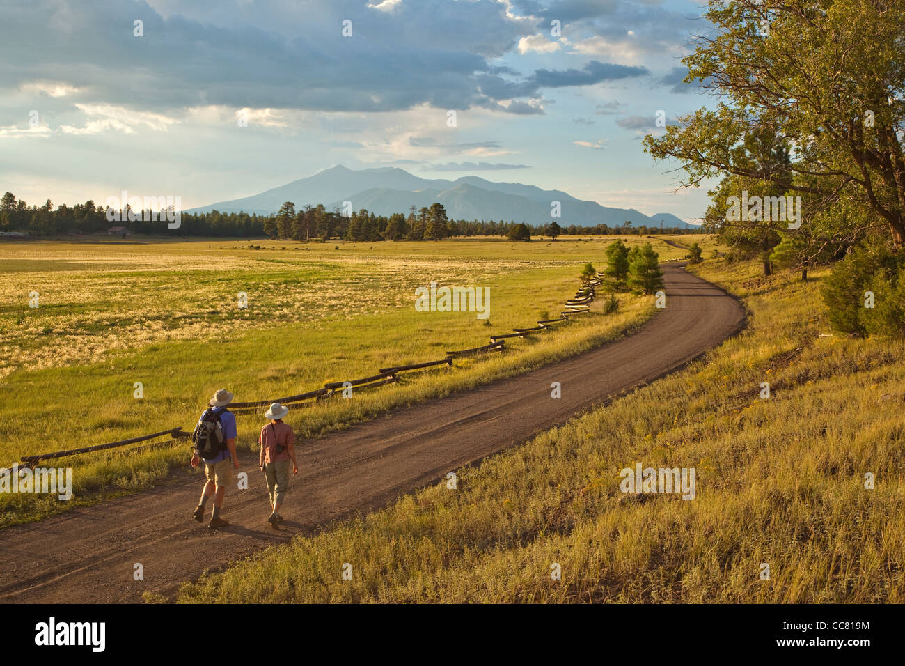 Walkers on road across Anderson Mesa with San Francisco Peaks in ...