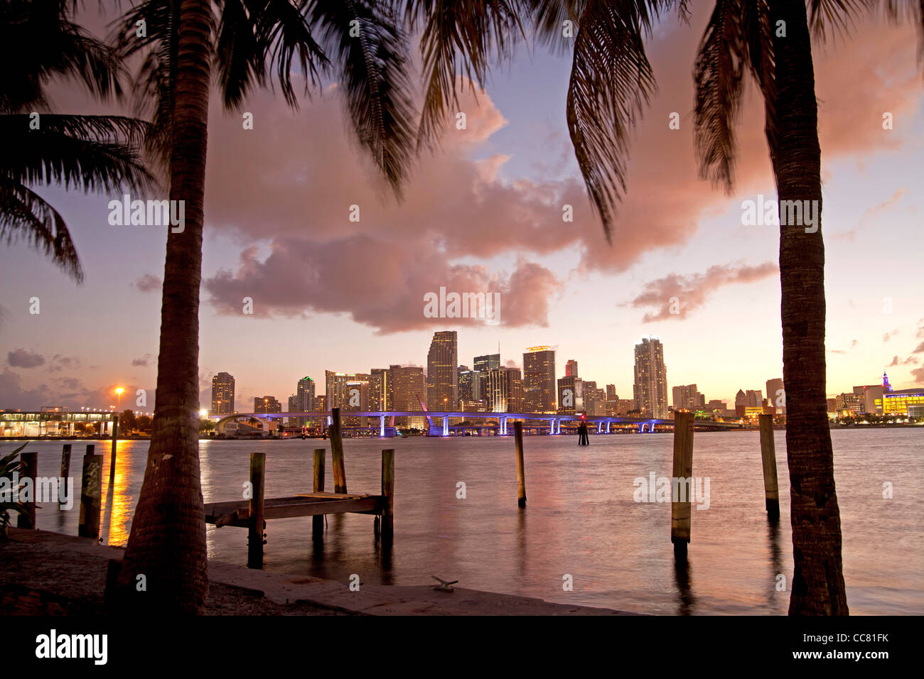 the illuminated Skyline of Downtown Miami, Florida, USA Stock Photo - Alamy