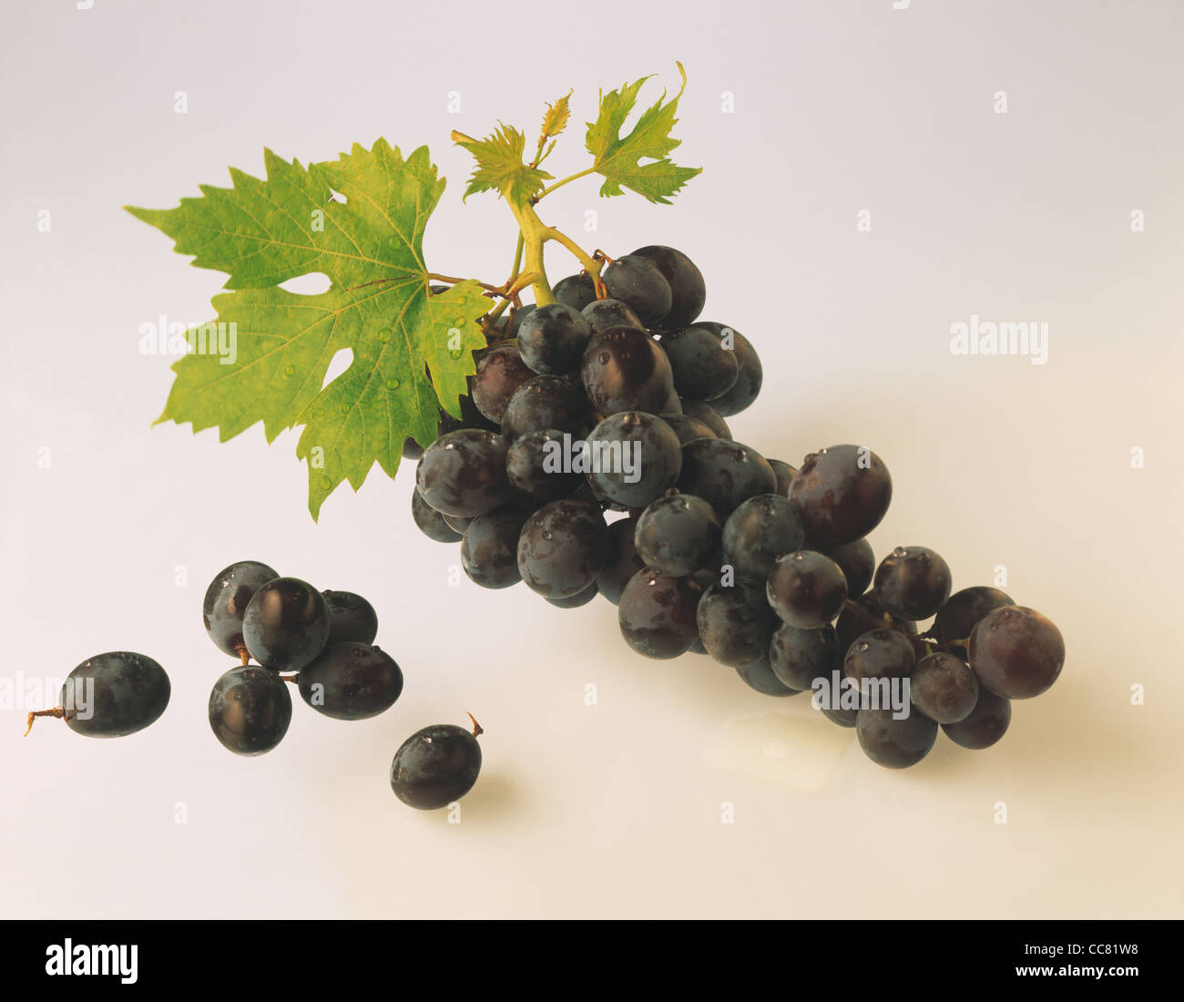 Cut out: Blue grapes Stock Photo - Alamy