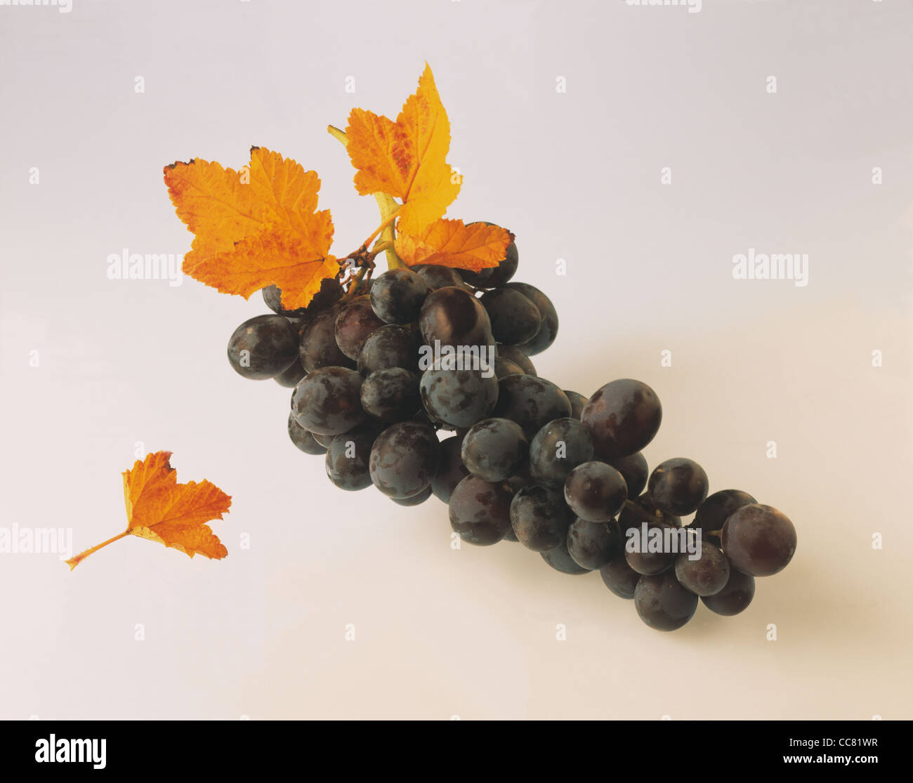 Cut out blue hi-res stock photography and images - Alamy