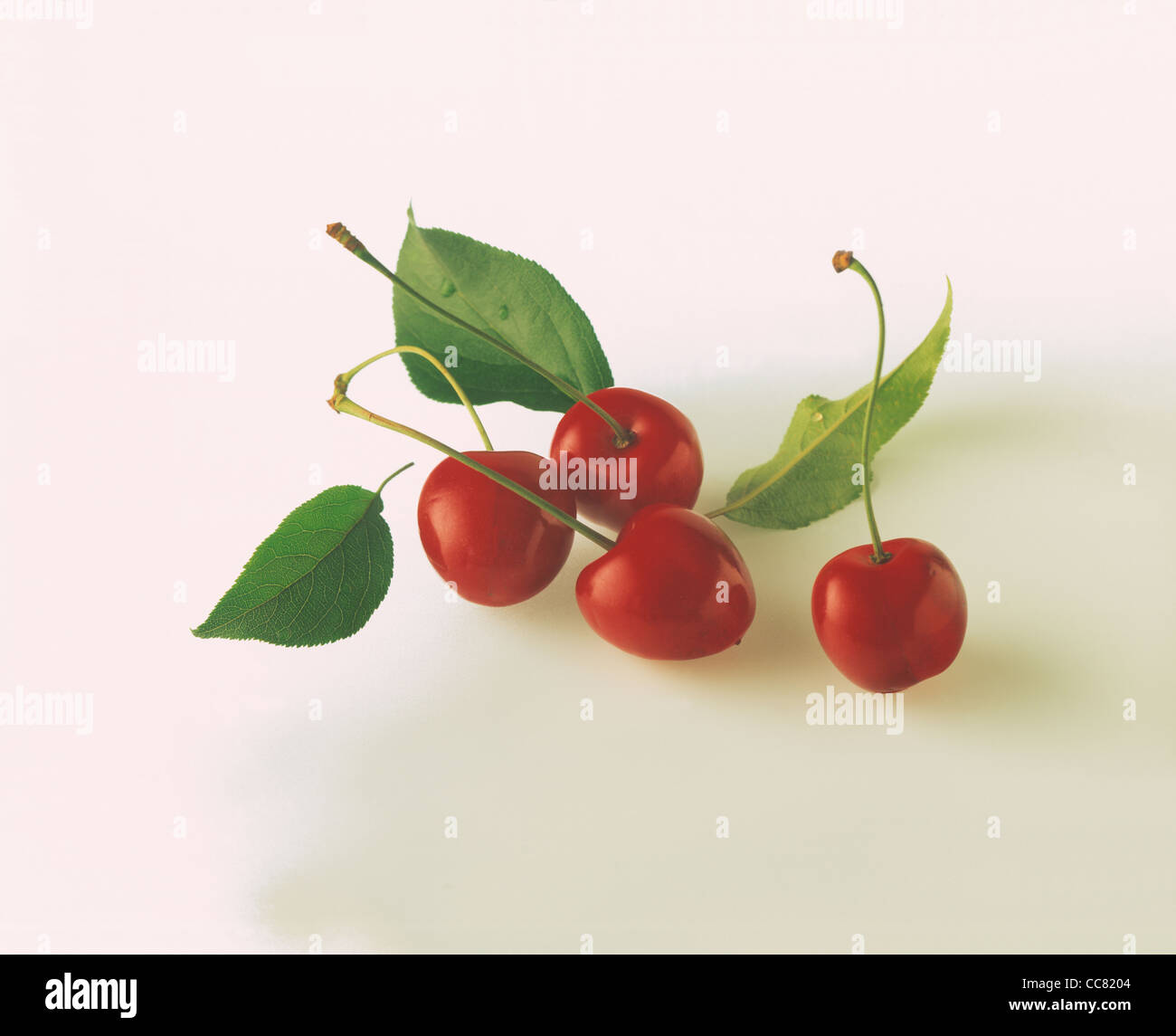 Cut out: Cherries with stem and leaves Stock Photo - Alamy