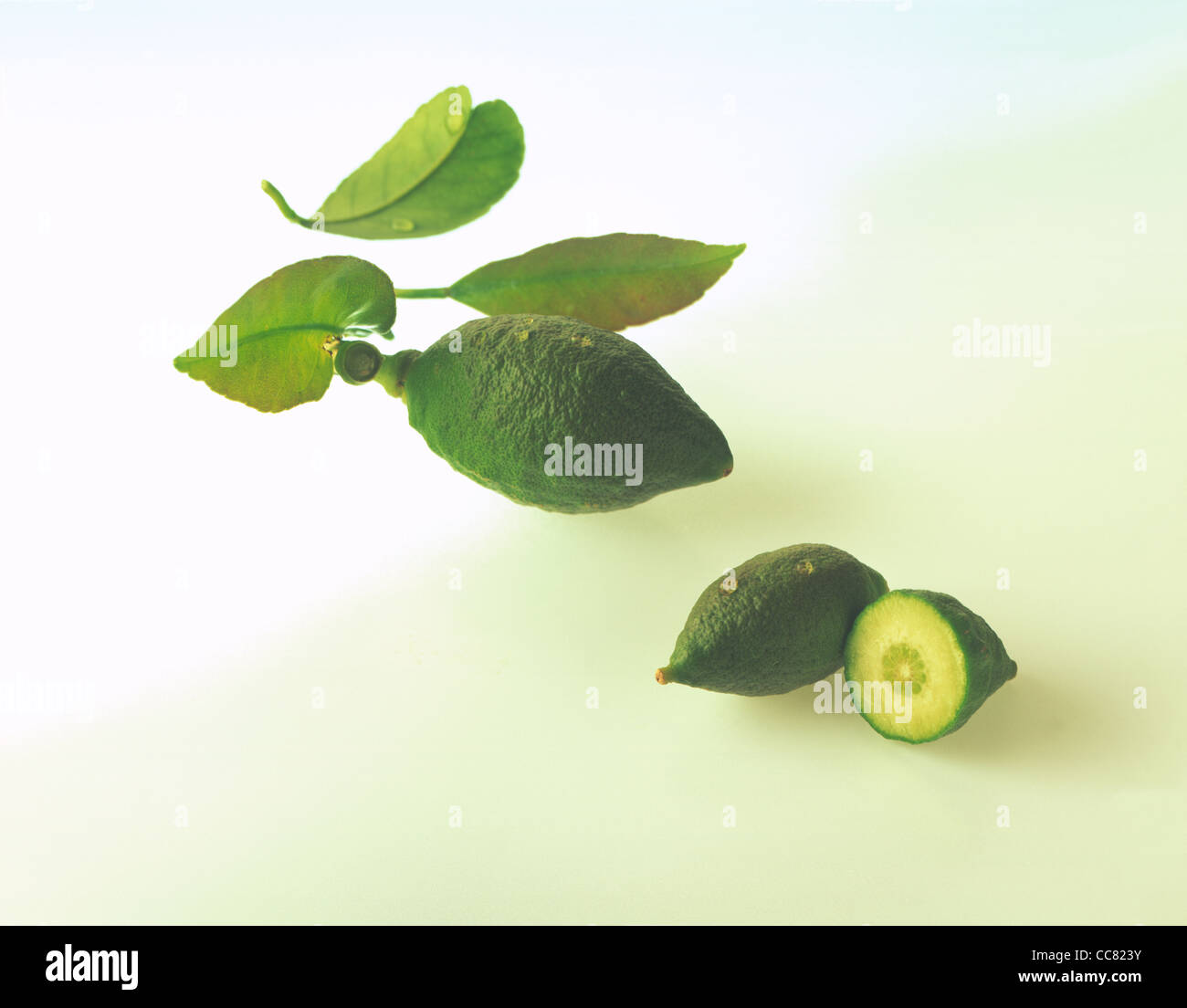 Cut out: Bitter lemon, in whole and cross section Stock Photo - Alamy