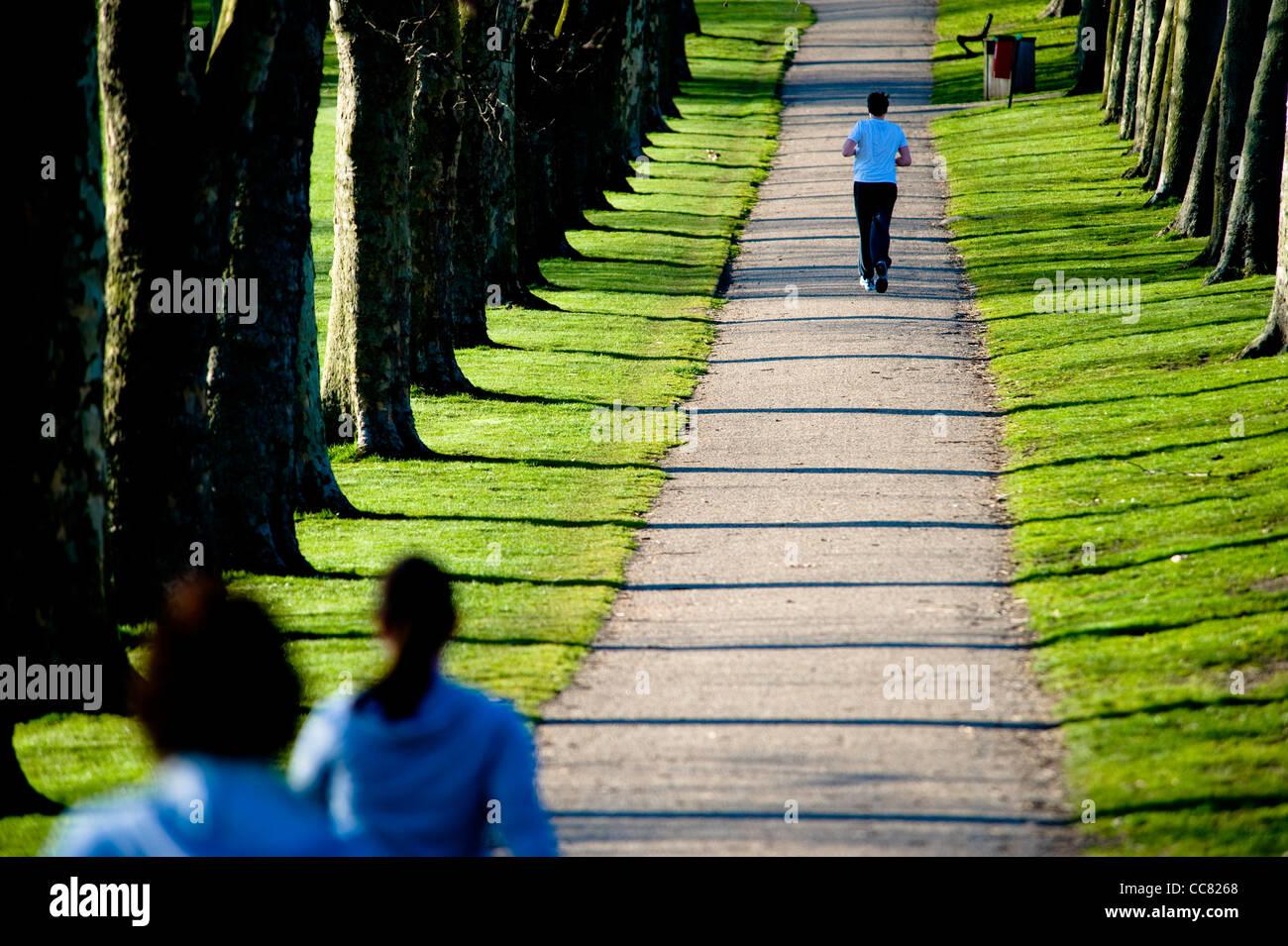 People jogging in the park, Gladstone Park Stock Photo - Alamy