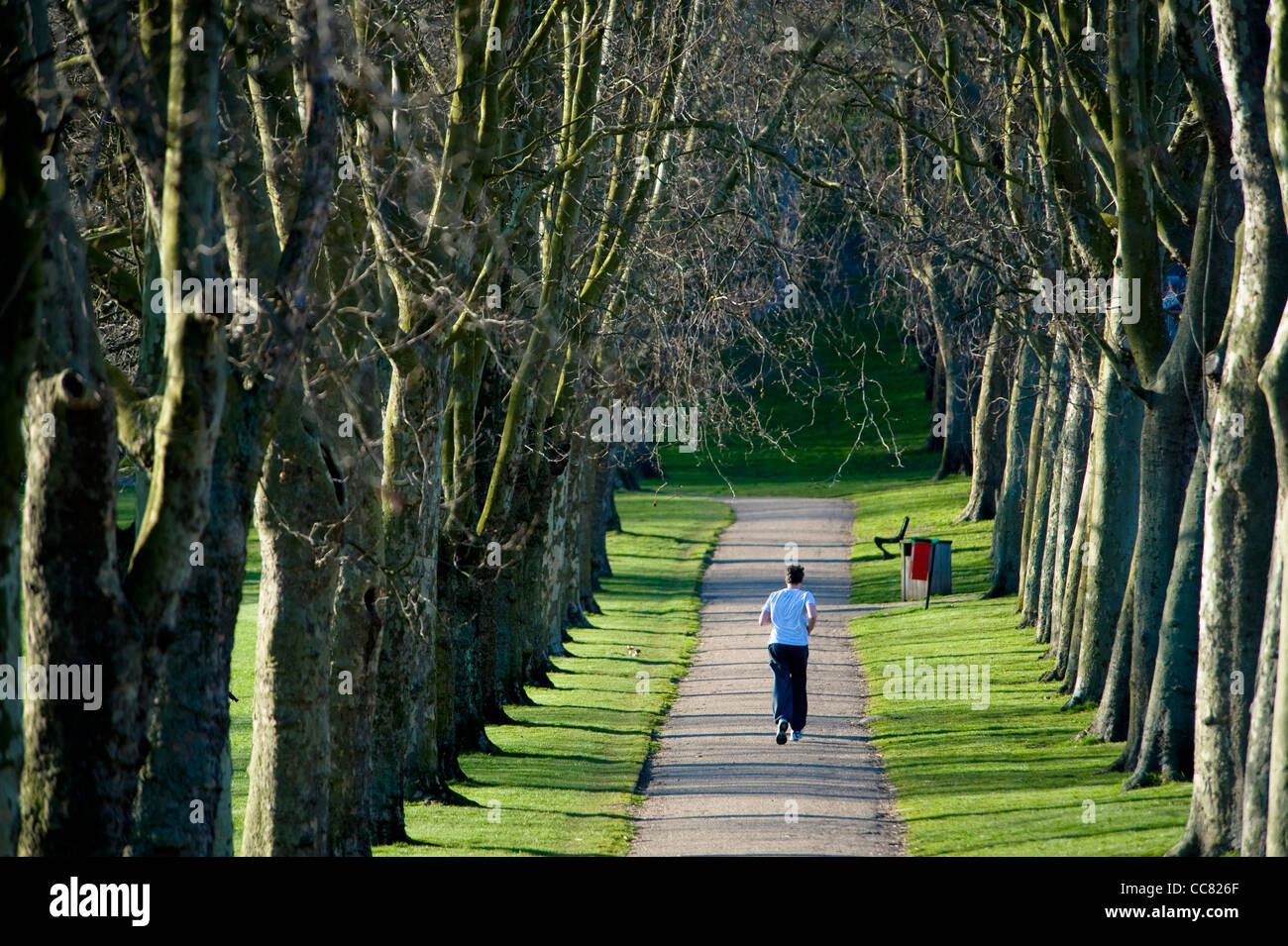 Gladstone park hi-res stock photography and images - Alamy