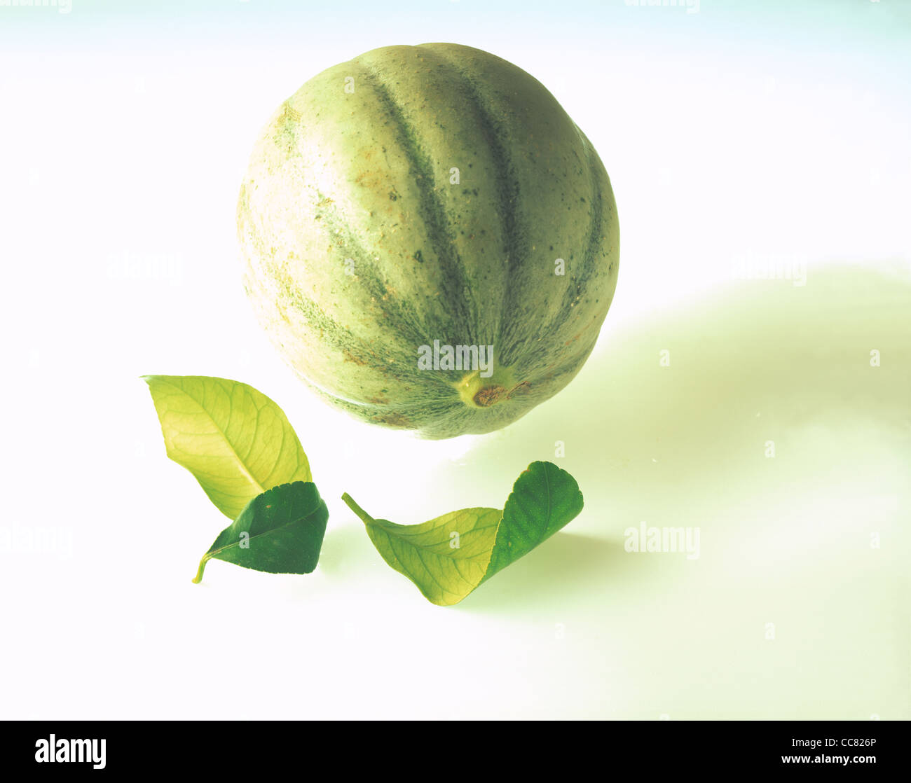 Cut out: Ogen melon Stock Photo - Alamy