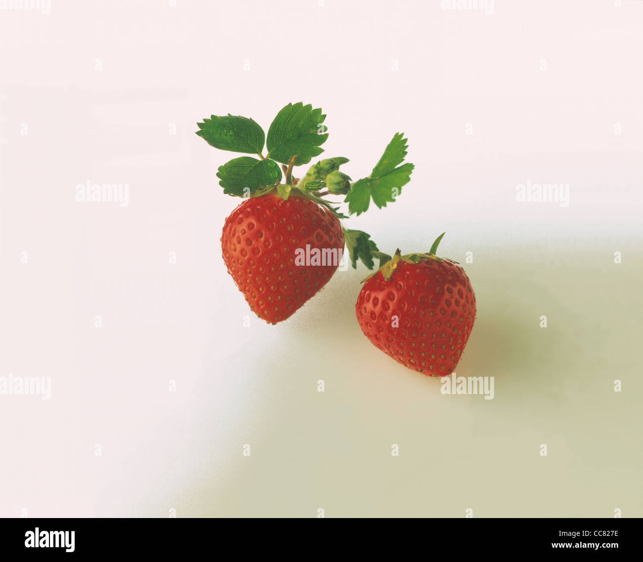 Cut out: Strawberries with leaves, in whole Stock Photo - Alamy