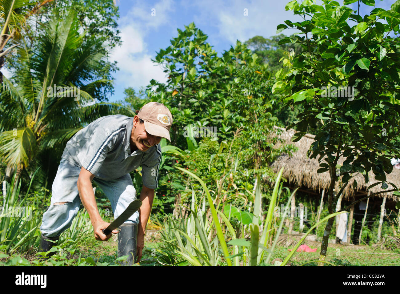 Farmer machete hi-res stock photography and images - Alamy
