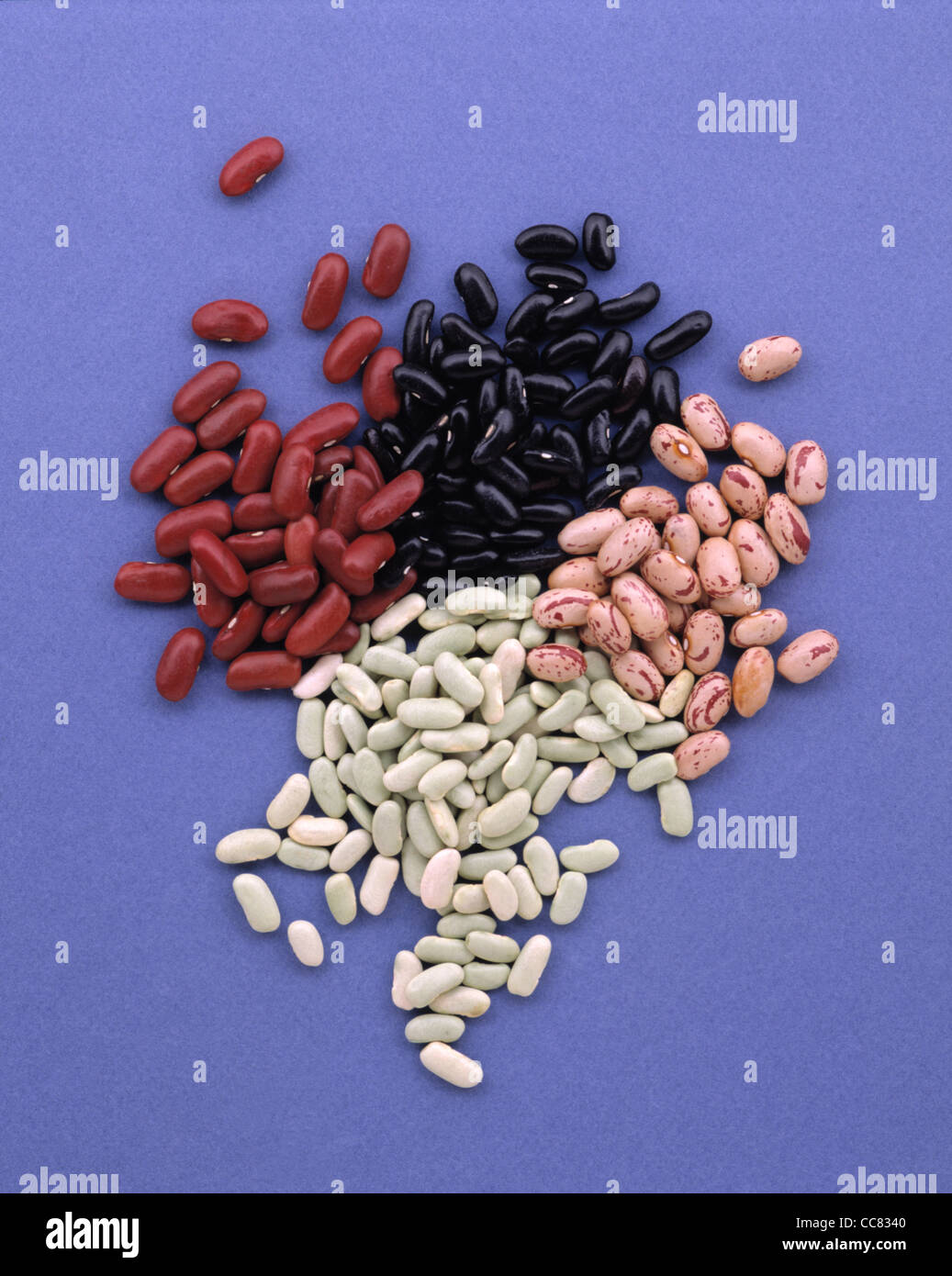 1 kidneybean hi-res stock photography and images - Alamy