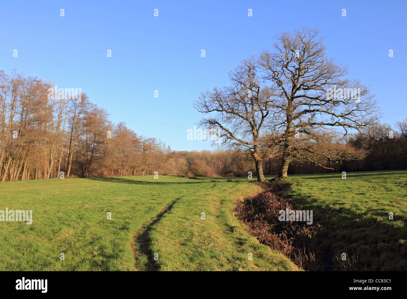 Ardingly uk hi-res stock photography and images - Alamy