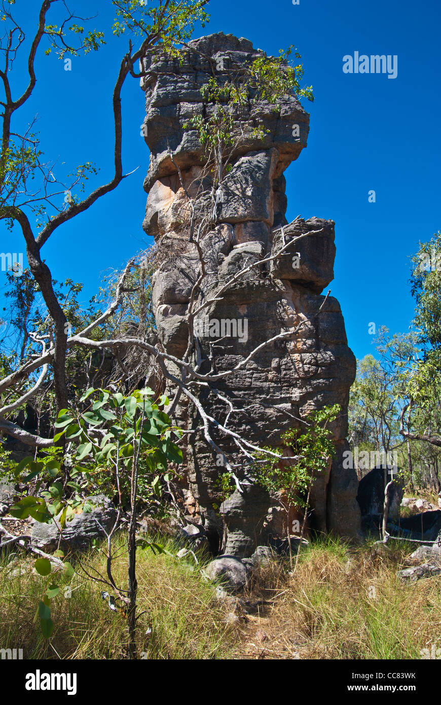 THE LOST CITY, ROCK FORMATIONS, LITCHFIELD NATIONAL PARK, NT, AUSTRALIA ...