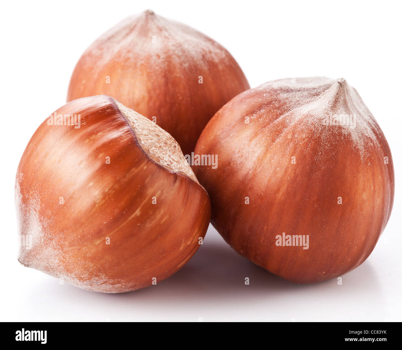 Three nuts filberts isolated on white background Stock Photo - Alamy
