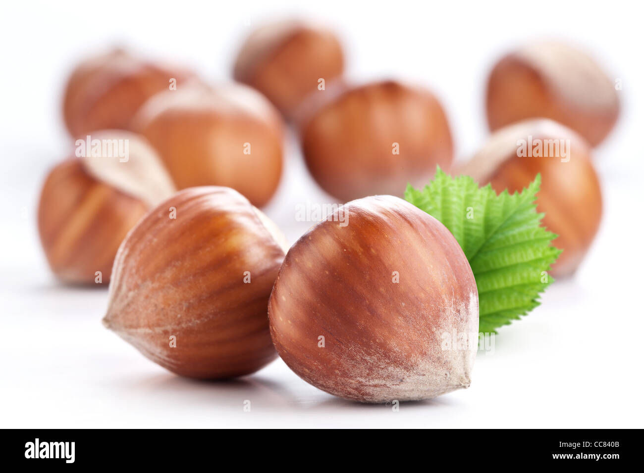 Nuts filberts isolated on white background Stock Photo - Alamy