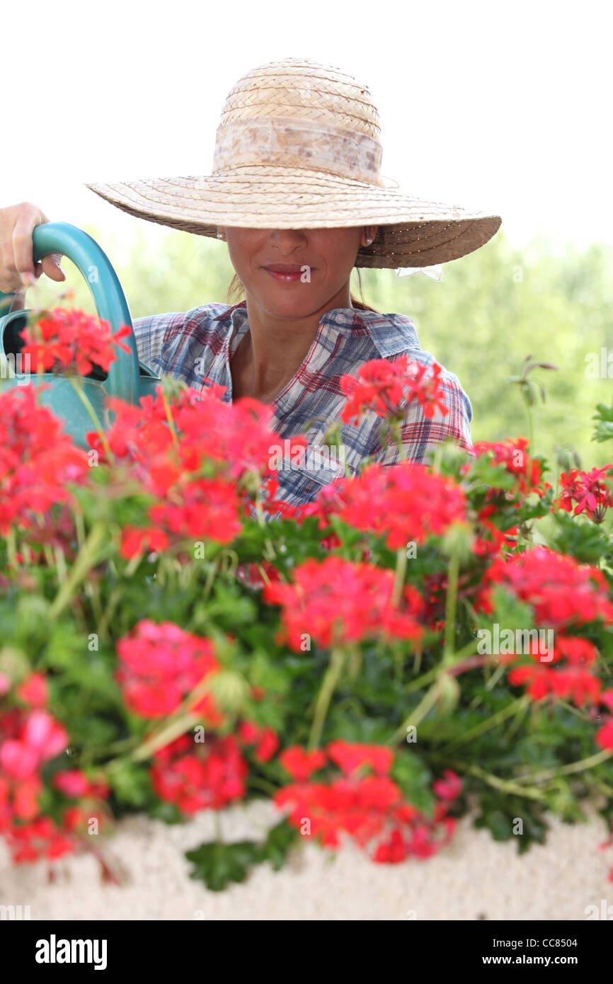 Woman in a straw hat watering geraniums Stock Photo - Alamy
