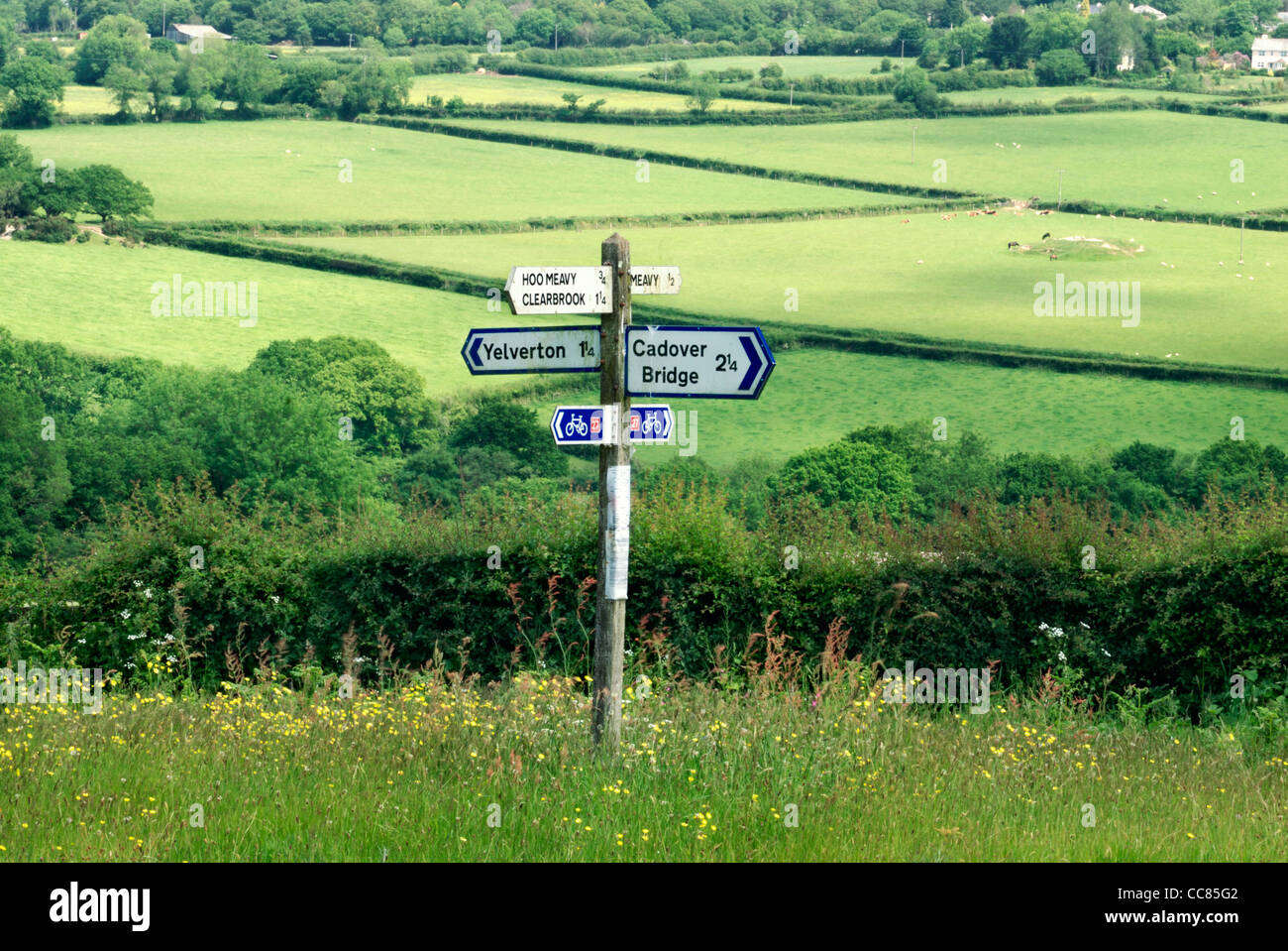 Signpost in rural countryside, Devon, England, UK Stock Photo - Alamy