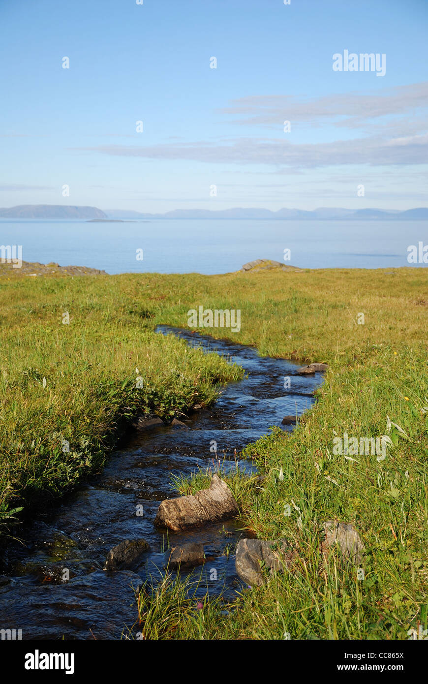 Blue stream in green meadow of summer Soroya Stock Photo - Alamy