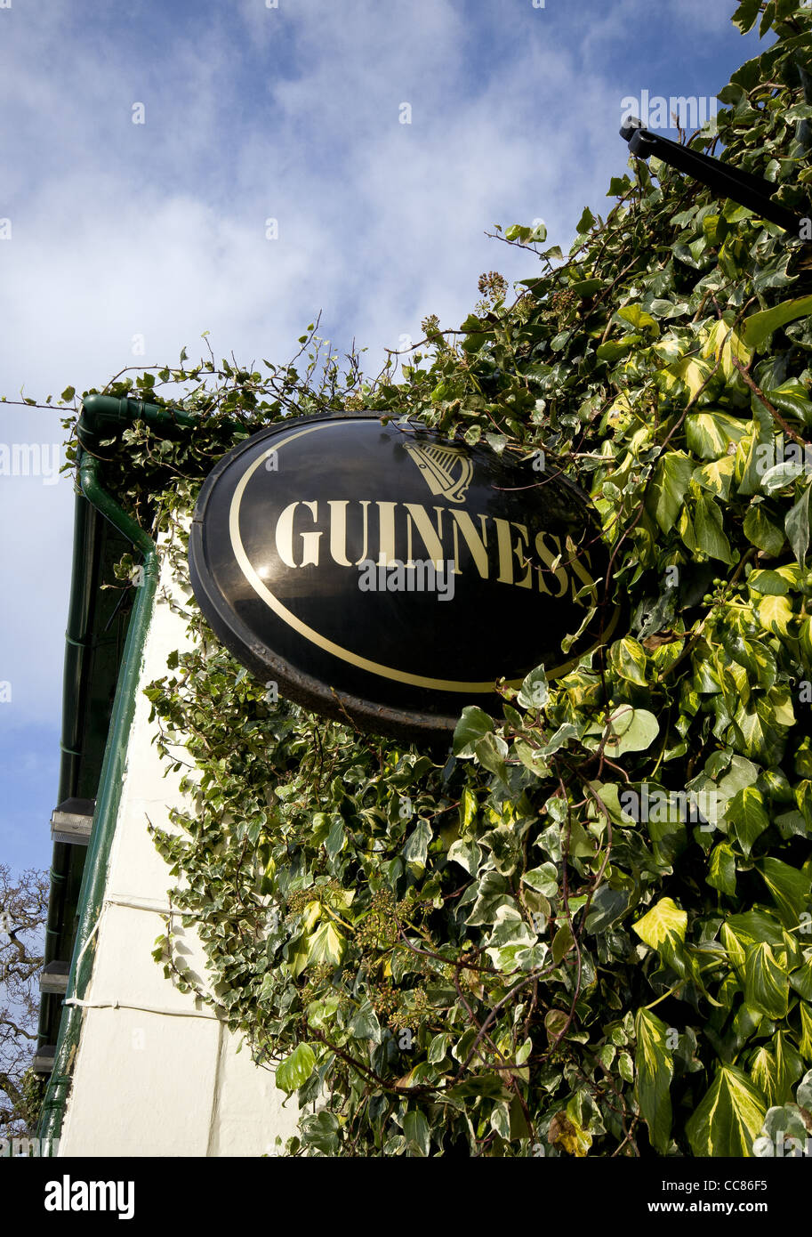Guinness Logo High Resolution Stock Photography and Images - Alamy