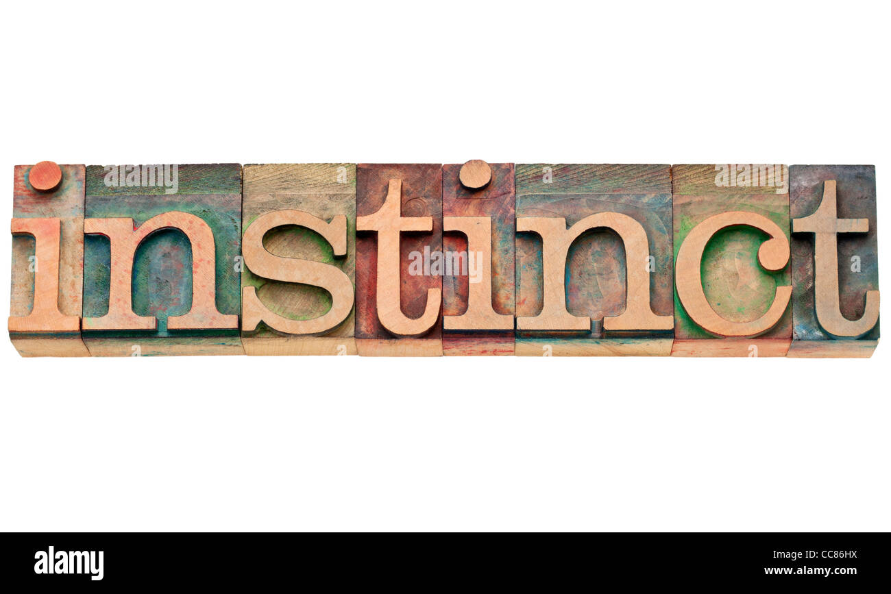 instinct - isolated text in vintage wood letterpress printing blocks ...