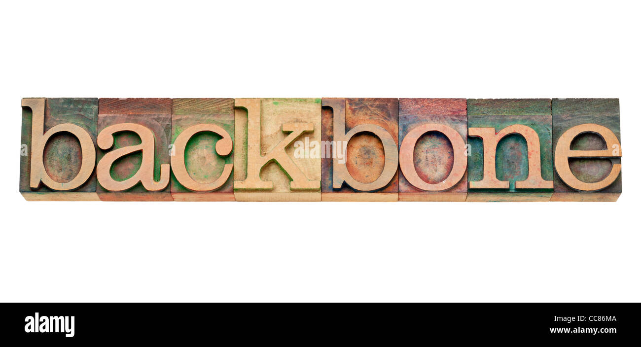 backbone - computer network concept - isolated text in vintage wood ...