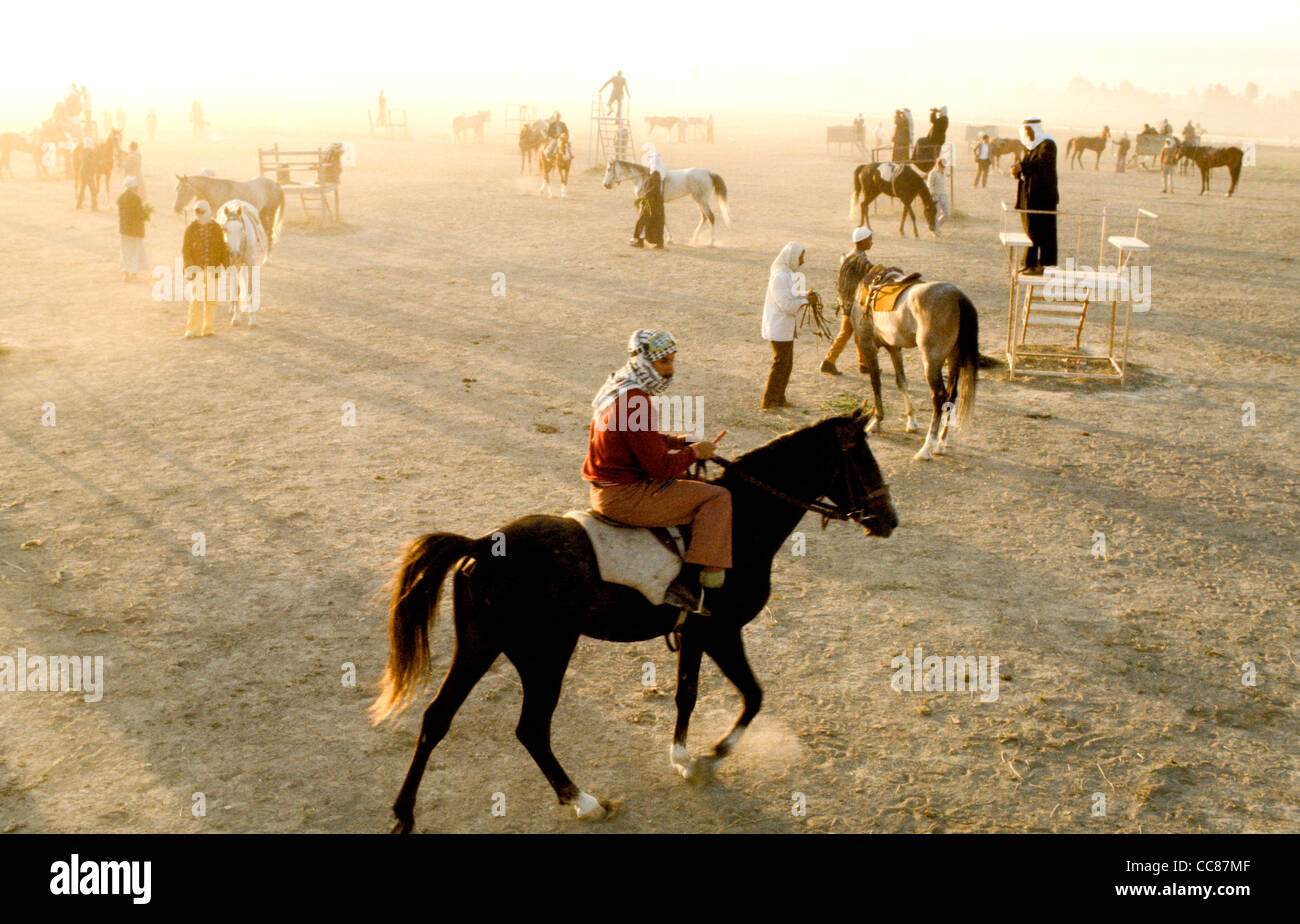 1970s Horses High Resolution Stock Photography and Images - Alamy