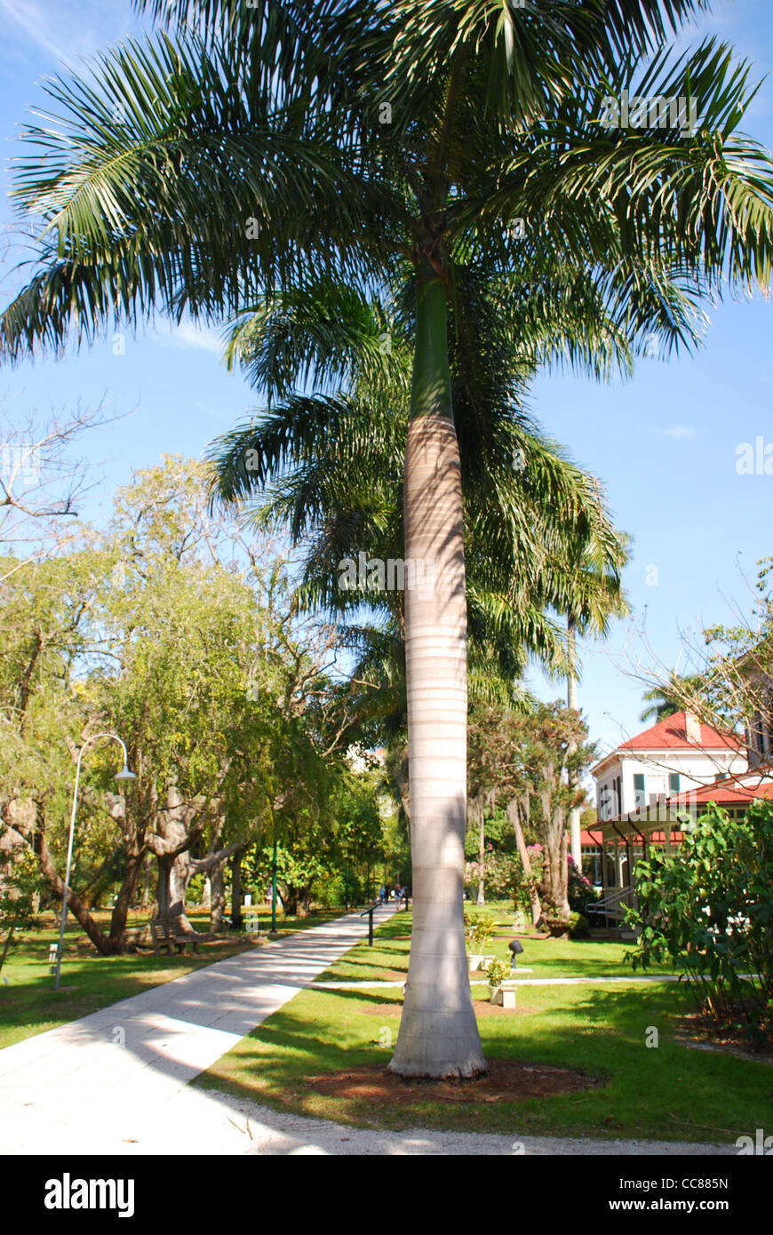 Thomas edison and henry ford winter estates museum hi-res stock ...