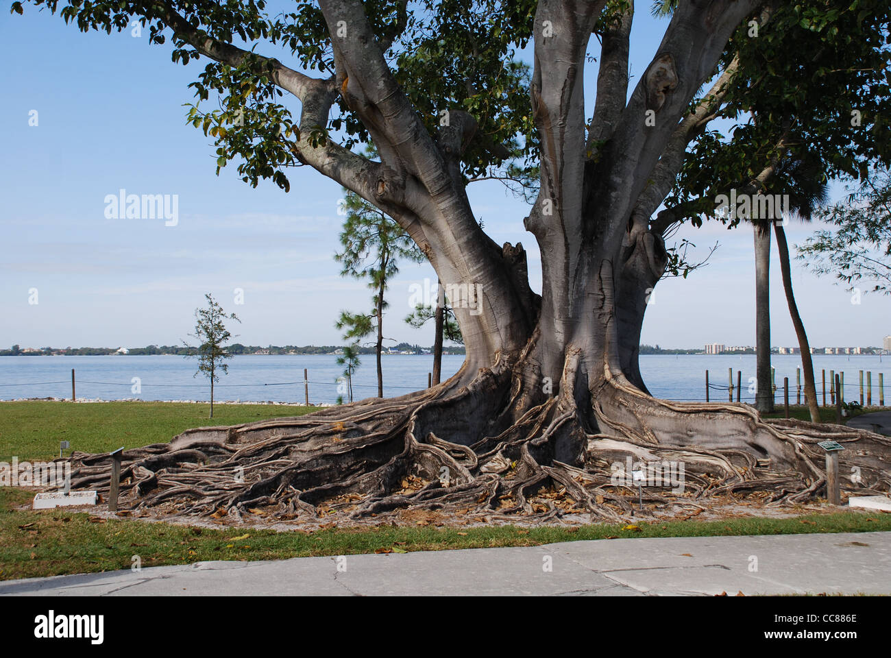 Edison ford museum hi-res stock photography and images - Alamy