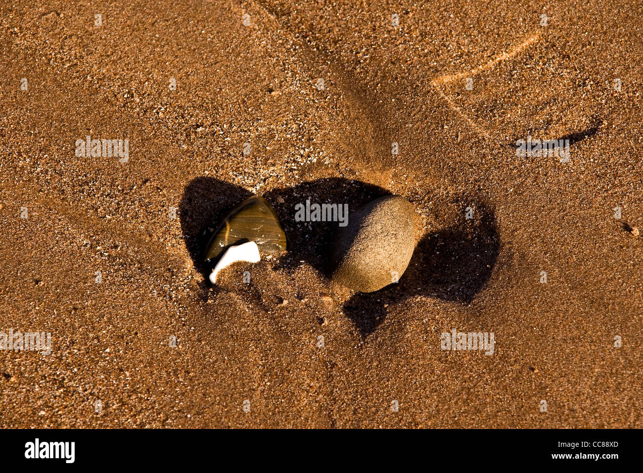 Two small pebbles beside a shoe imprint in the sand on a sunny January ...