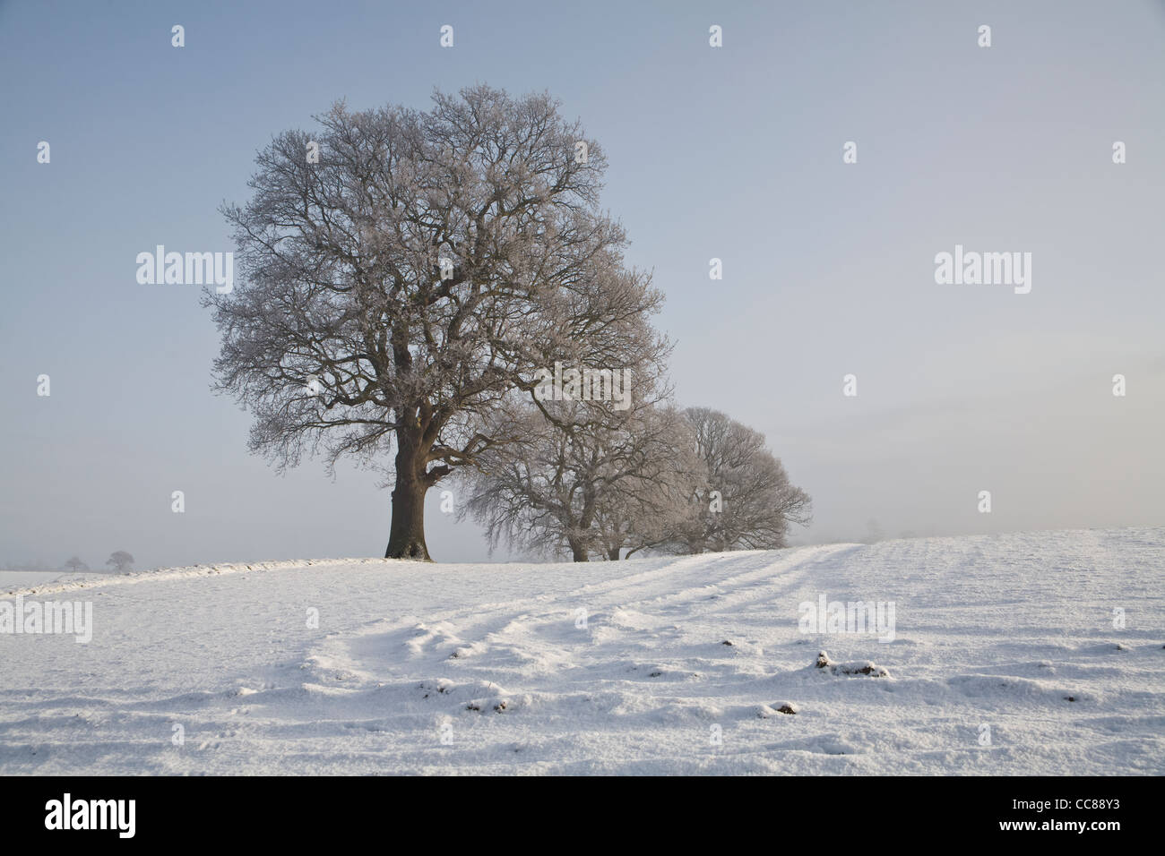 Horizontal snow landscape Stock Photo - Alamy