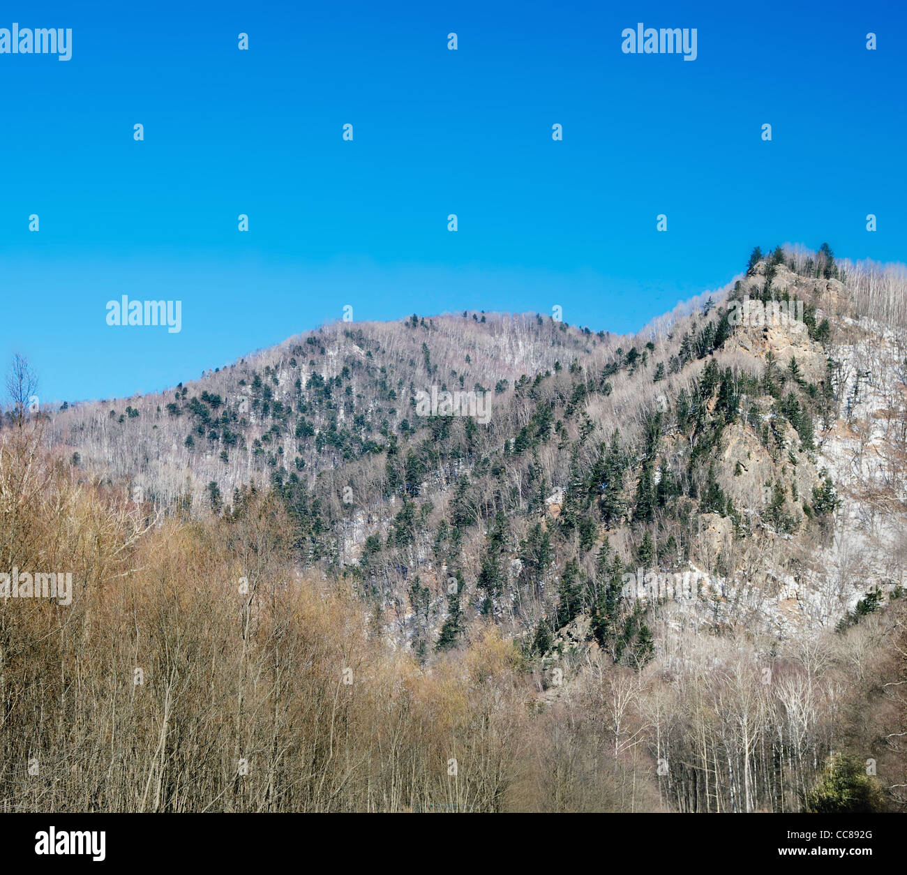 Cliff overlooking valley hi-res stock photography and images - Alamy