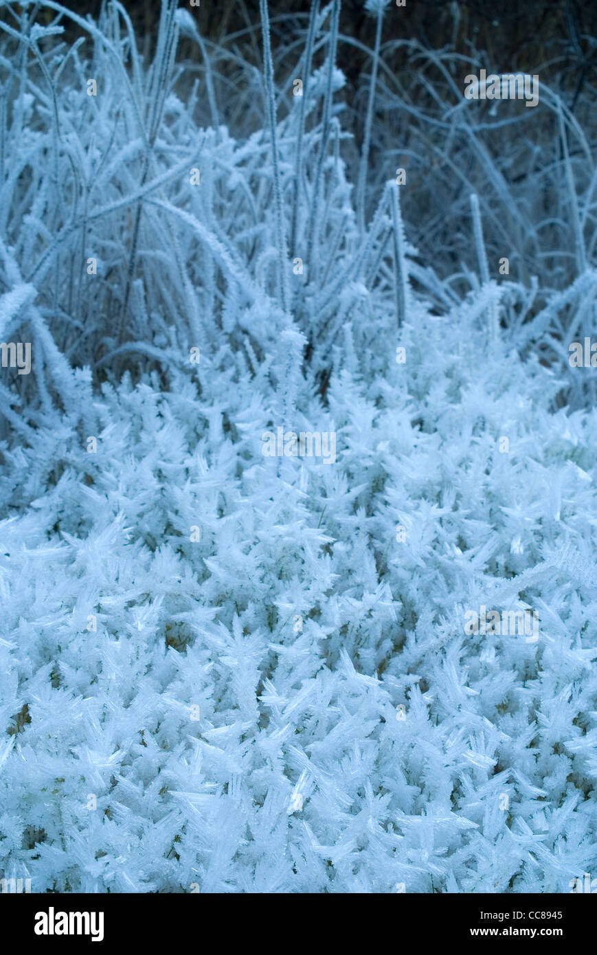 Frost crystal formation hi-res stock photography and images - Alamy