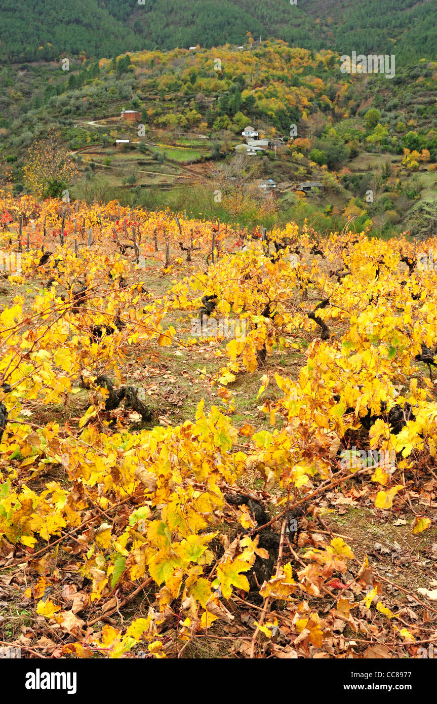 Quiroga galicia hi-res stock photography and images - Alamy