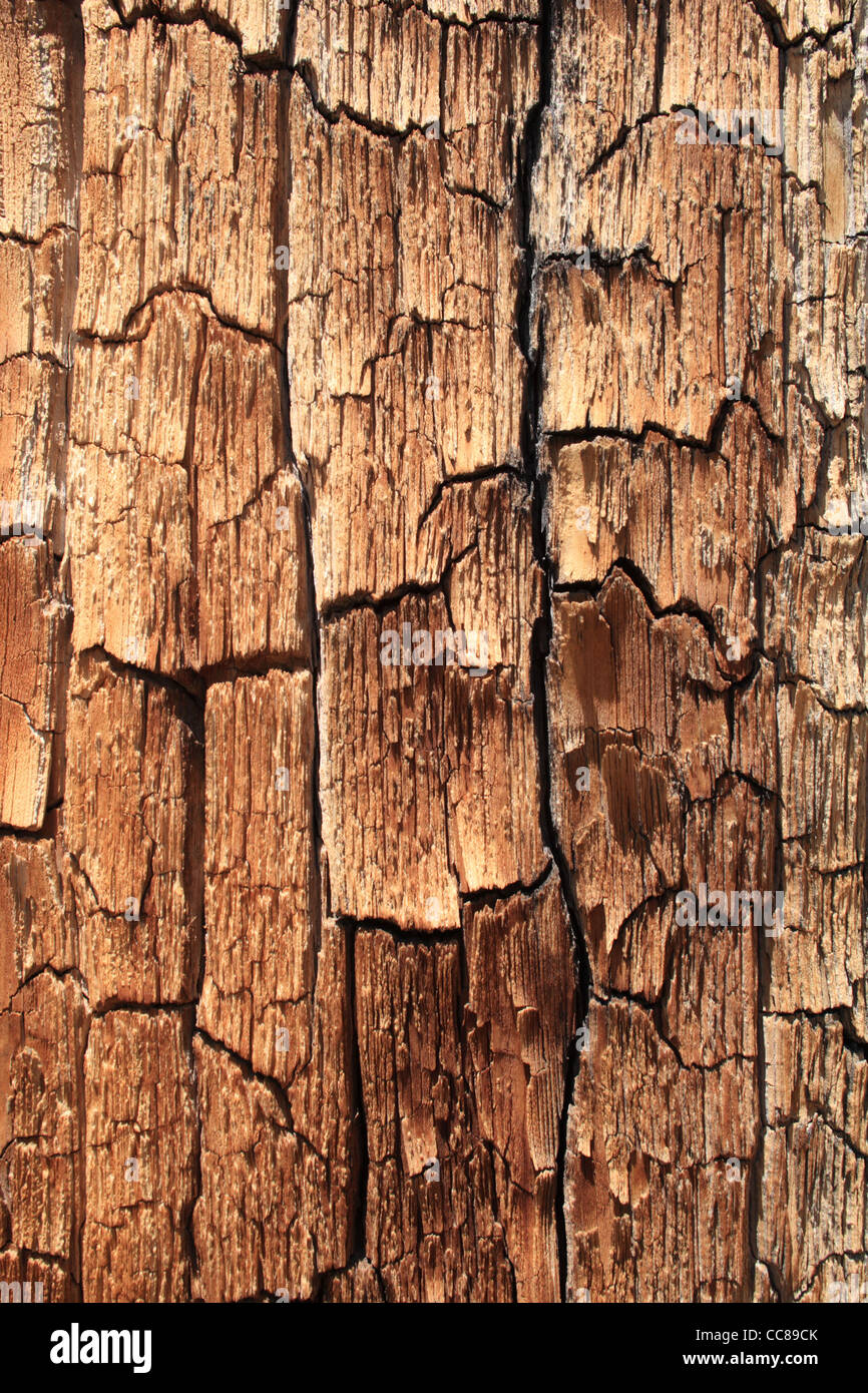 flaking splitting pine wood background texture Stock Photo - Alamy
