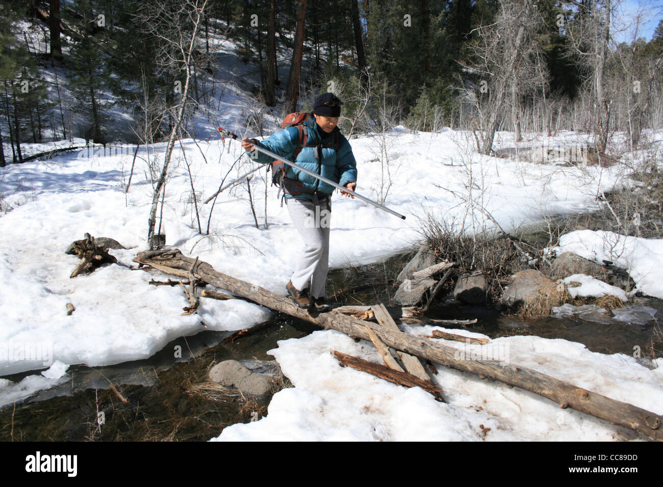 Log crossing stream hi-res stock photography and images - Alamy